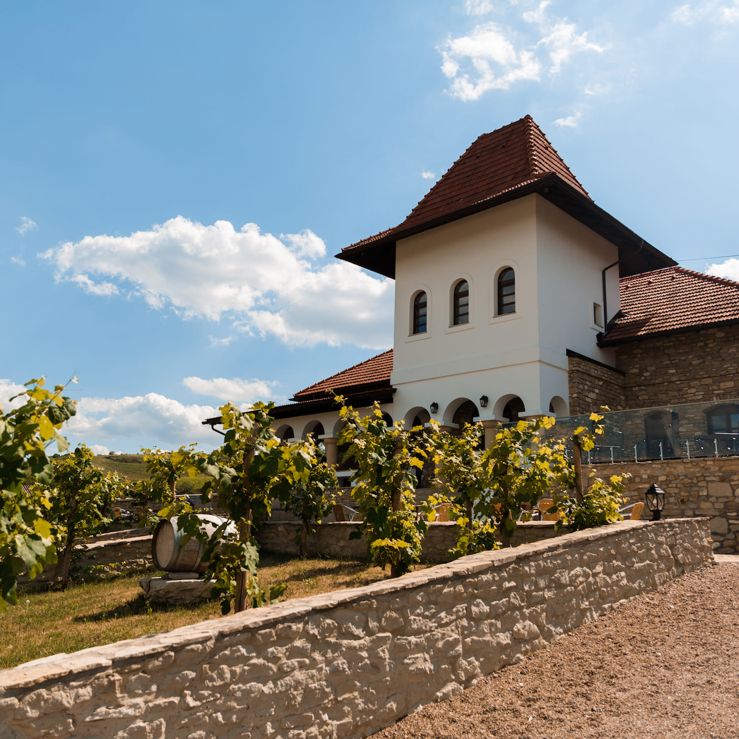 Hiking among the vineyards of Mircesti Winery