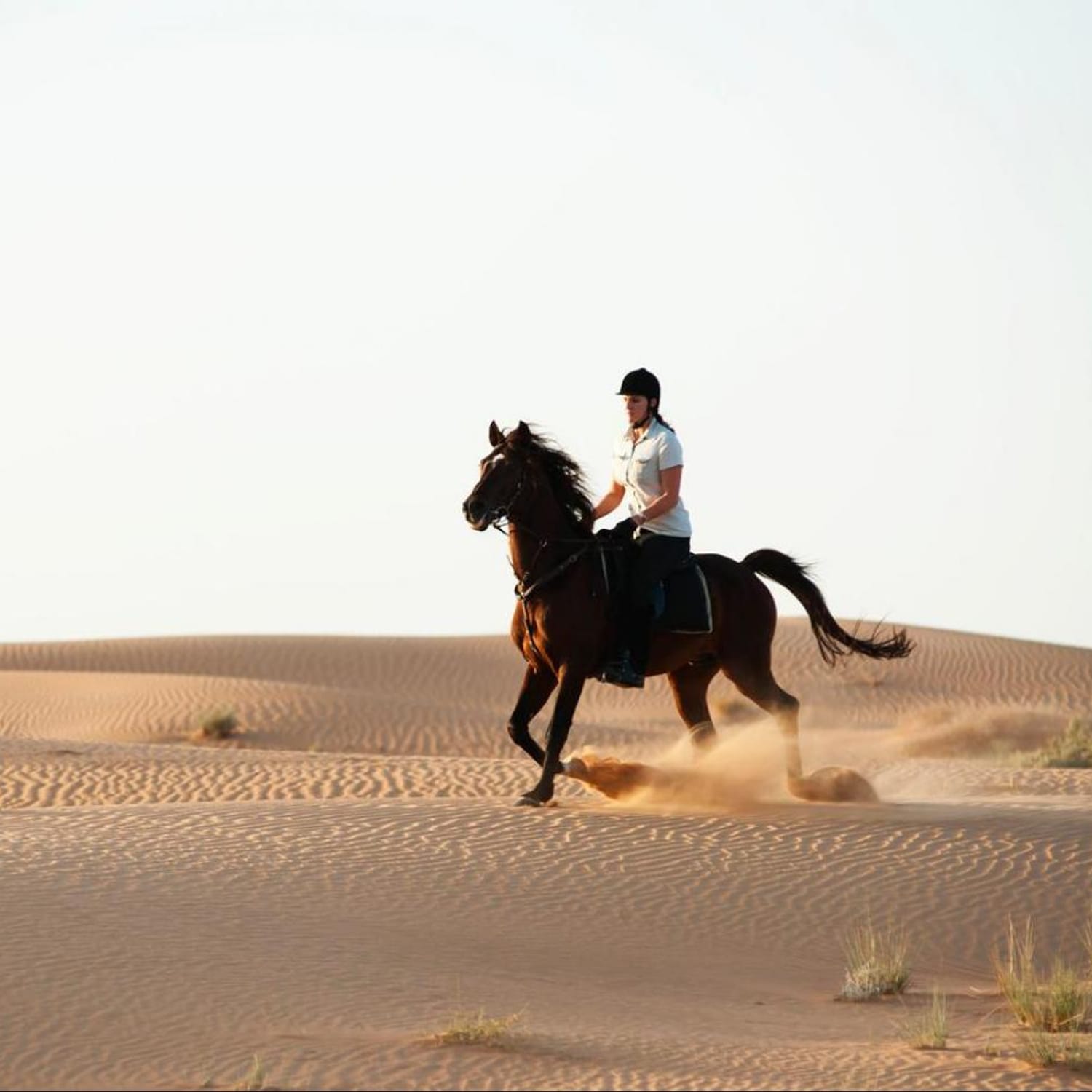 Desert Horse Riding Adventure Tour