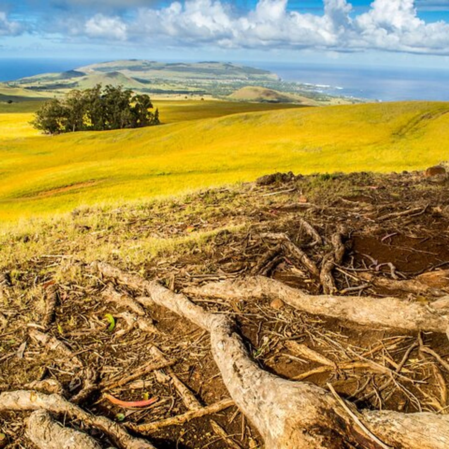 Terevaka: The Highest Point of the Island