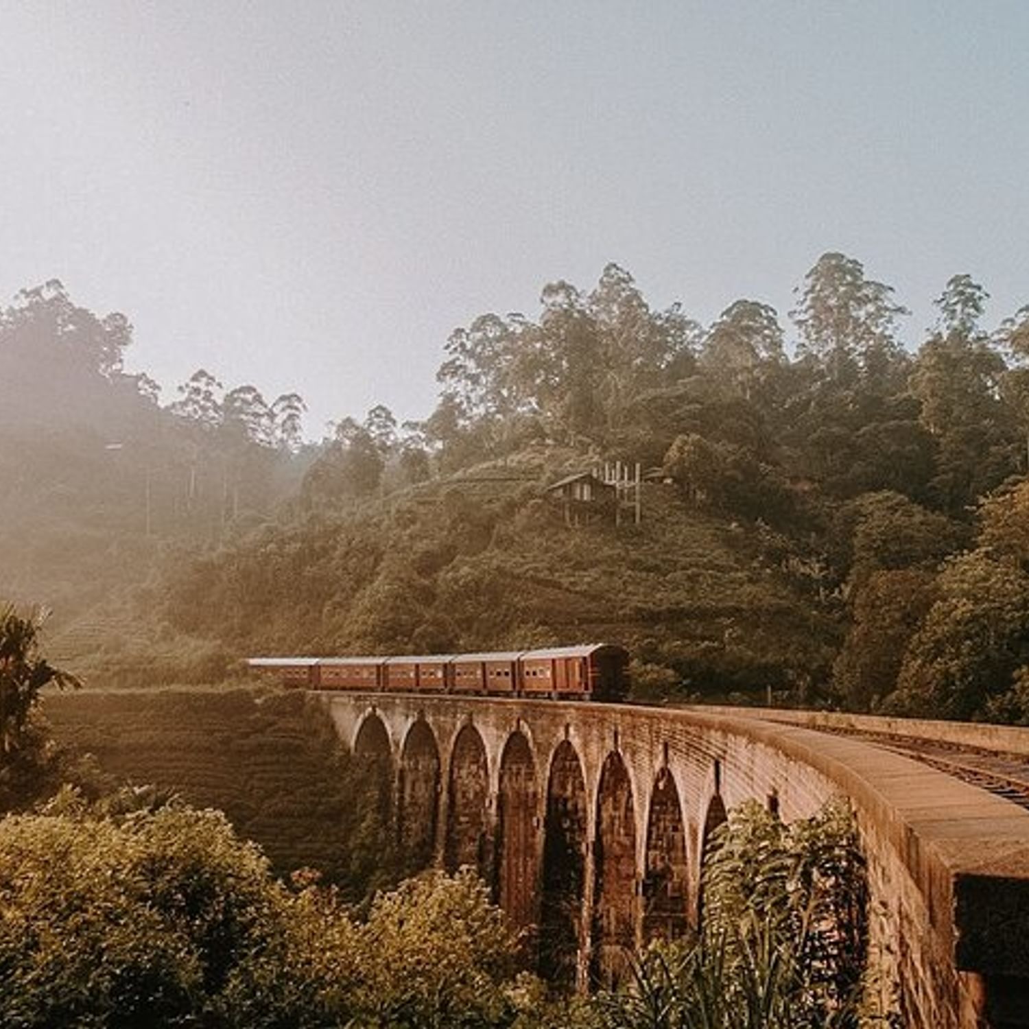 Ella Day Tour From Galle