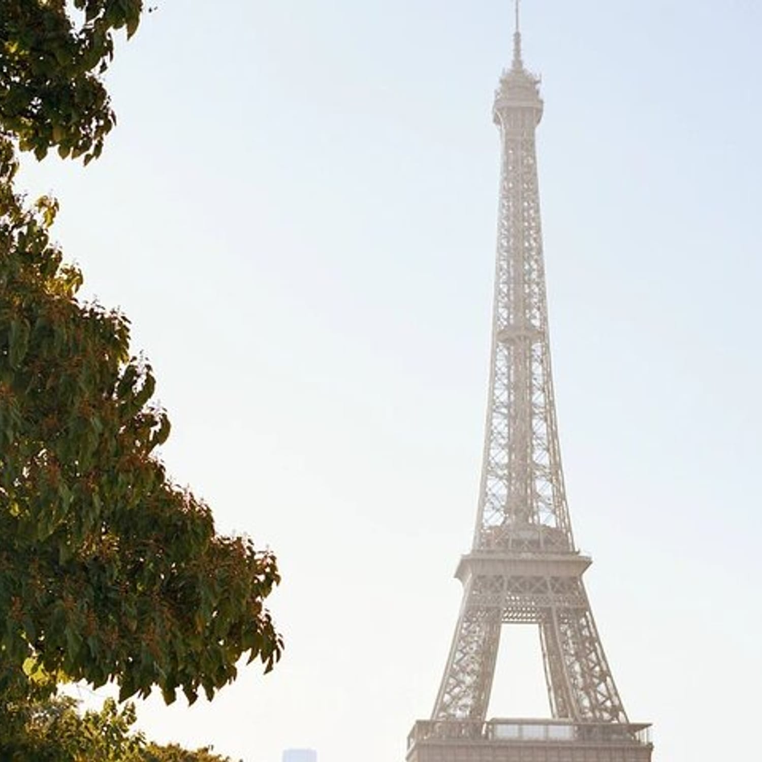 Paris Private Vintage Car Half Day Tour Eiffel Summit and Crepe