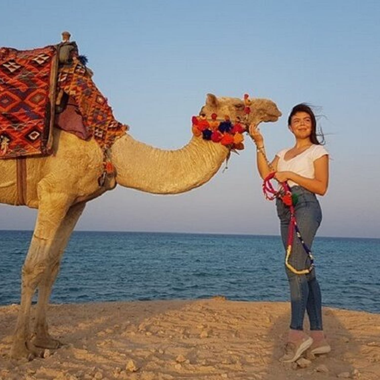 Experience Camel Riding in the Stunning Desert - Hurghada