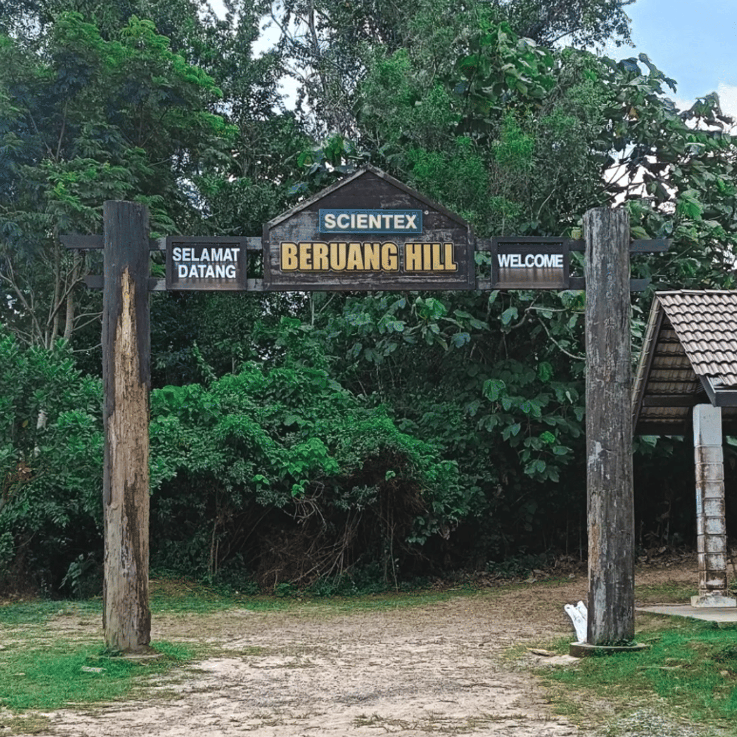 Bukit Beruang