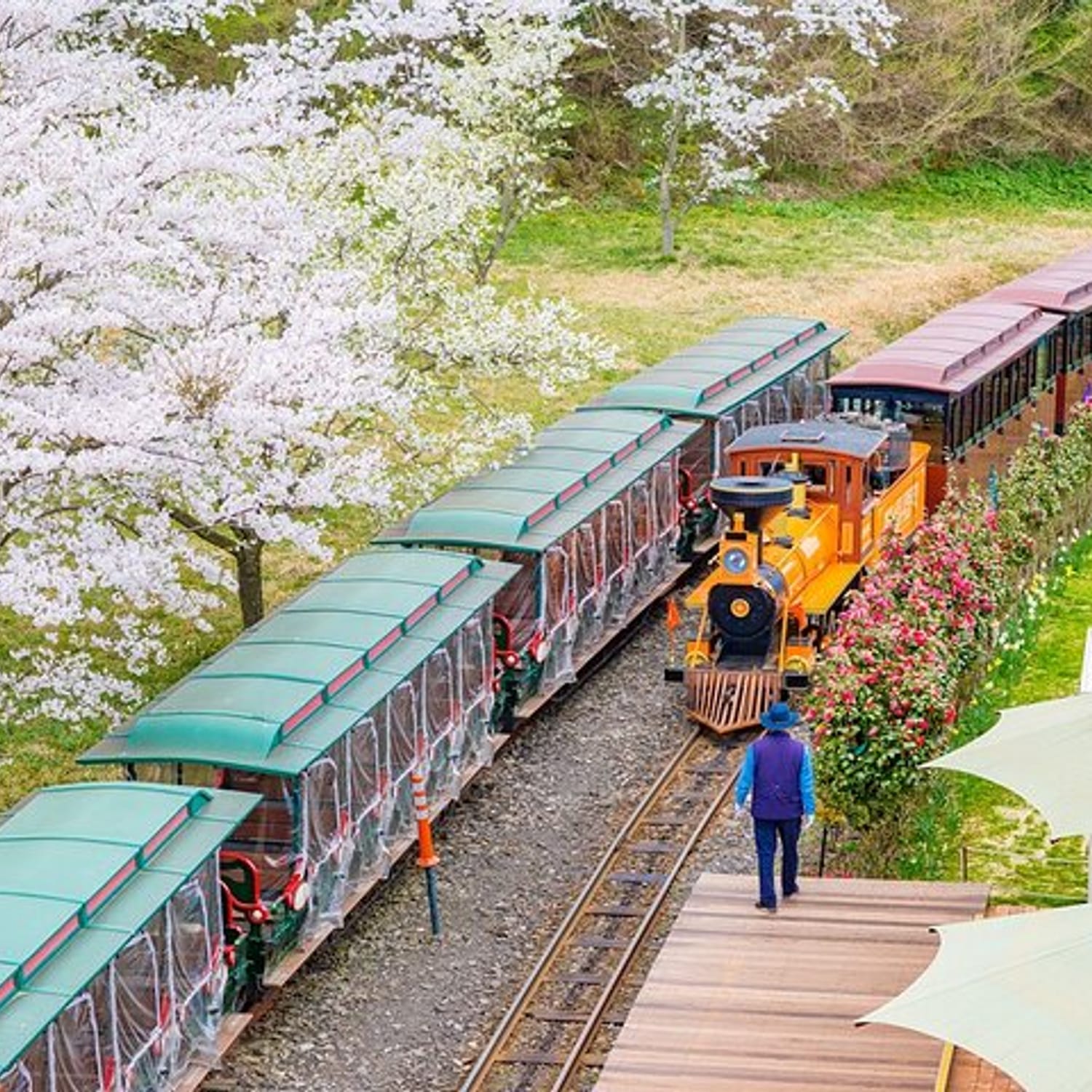 Jeju island private DAY Tour - South of Jeju