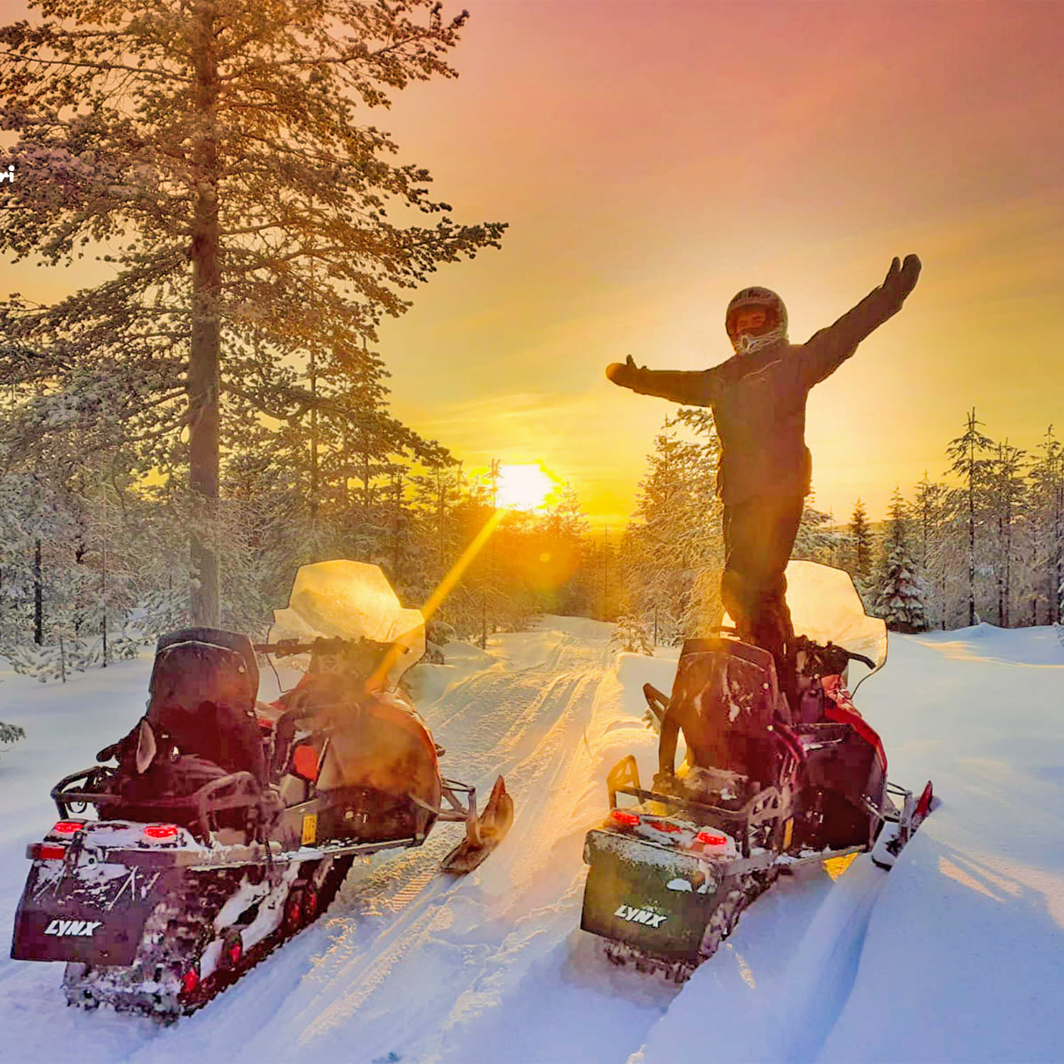 Snowmobile Safari into Arctic Wilderness