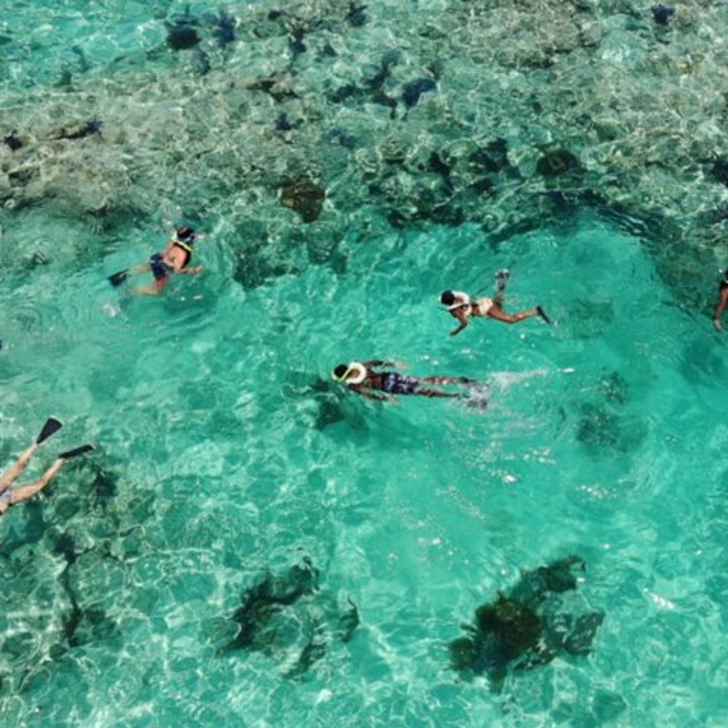 Full Day Key West Adventure from Miami