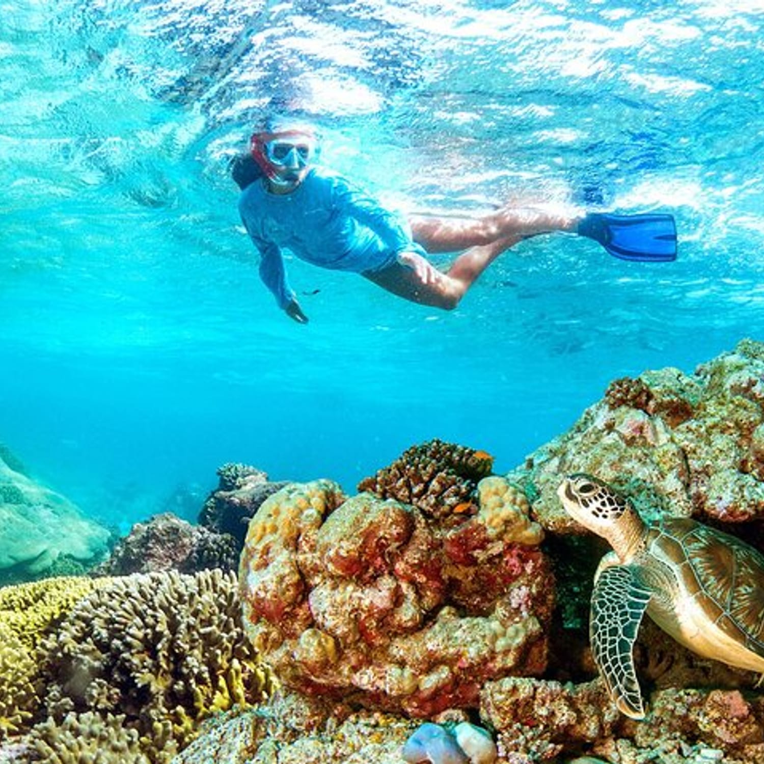 Full Day Snorkeling with Turtles in Sharm El Naga from Hurghada