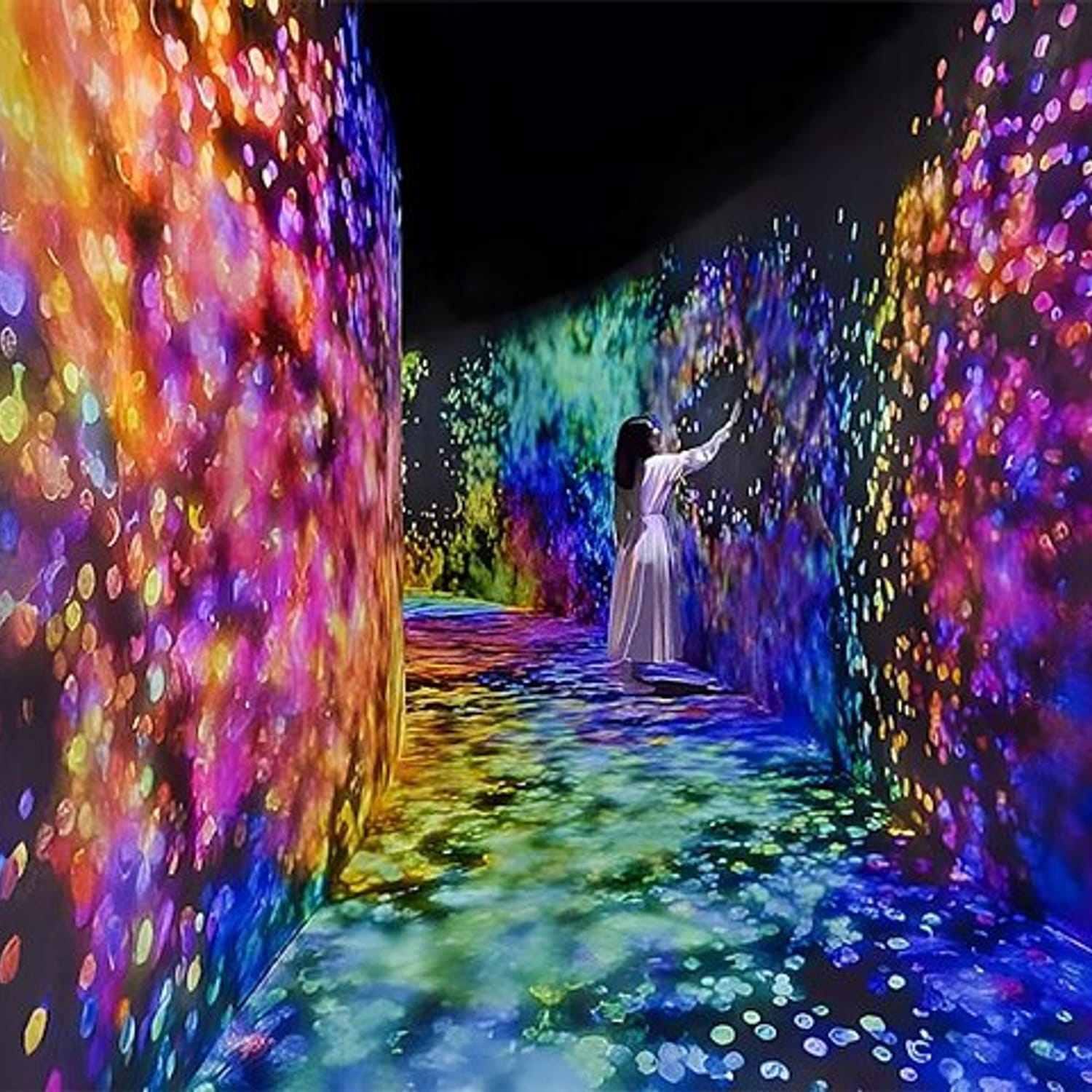 Teamlab Phenomena Abu Dhabi