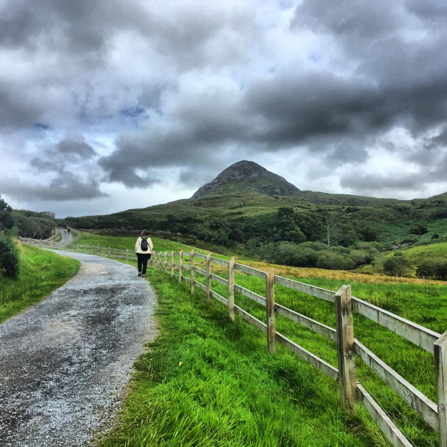 Connemara Guided Day Tour with a 3 hour stop in Connemara National Park.