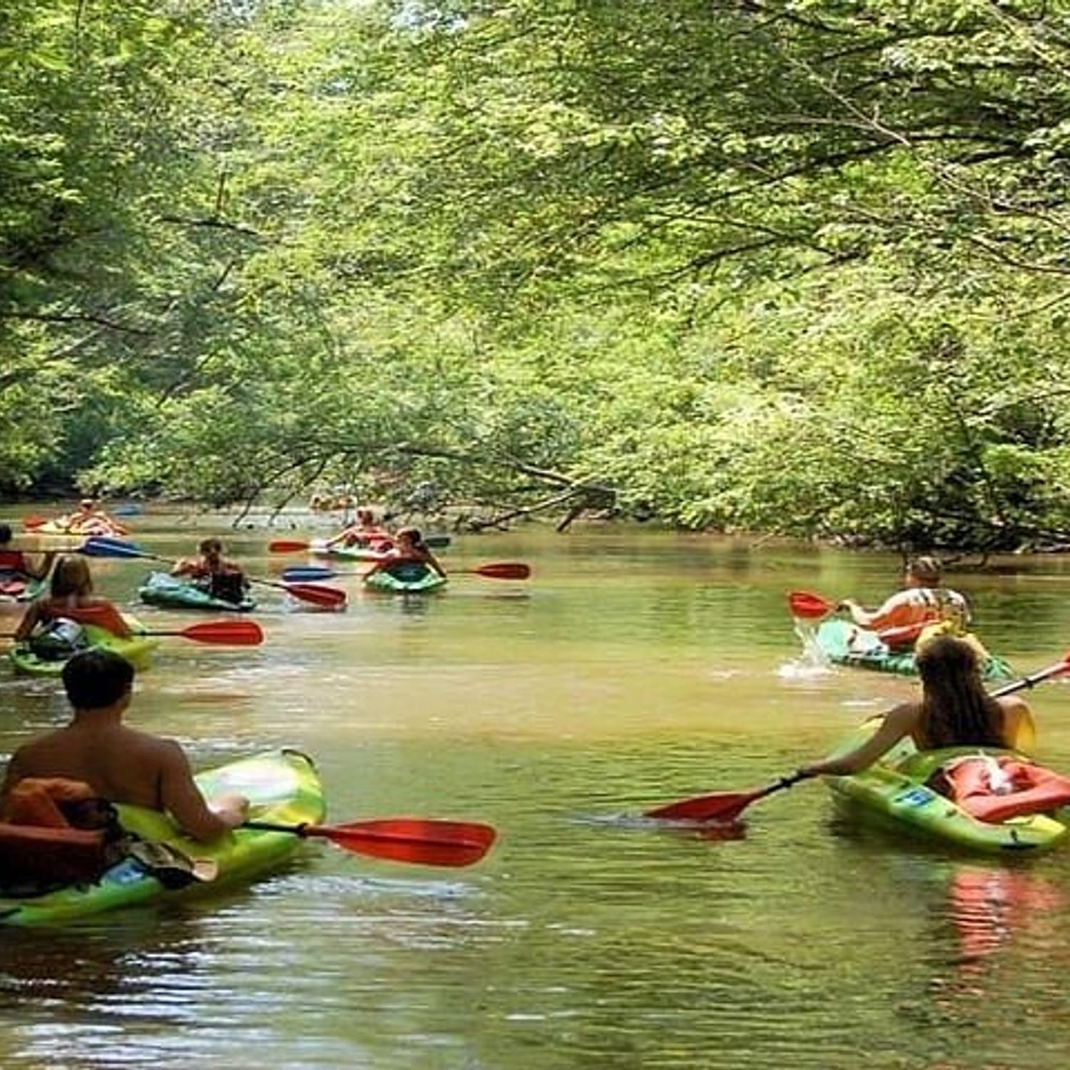 Phu Quoc Half-Day Tour of Cua Can river