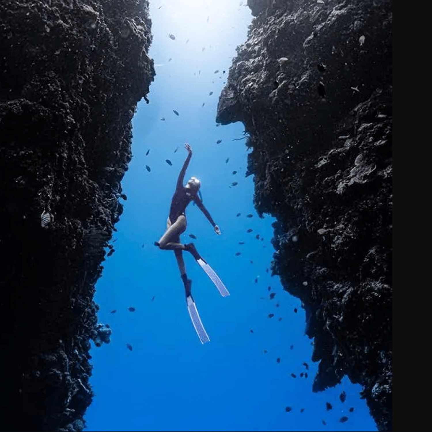 Freediving Tour at Napaling Reef and the Sardines