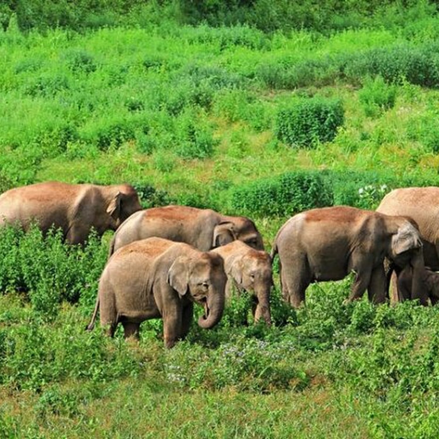BT-All Inclusive Saranda Forest 4 Days Tour From Bhubaneswar