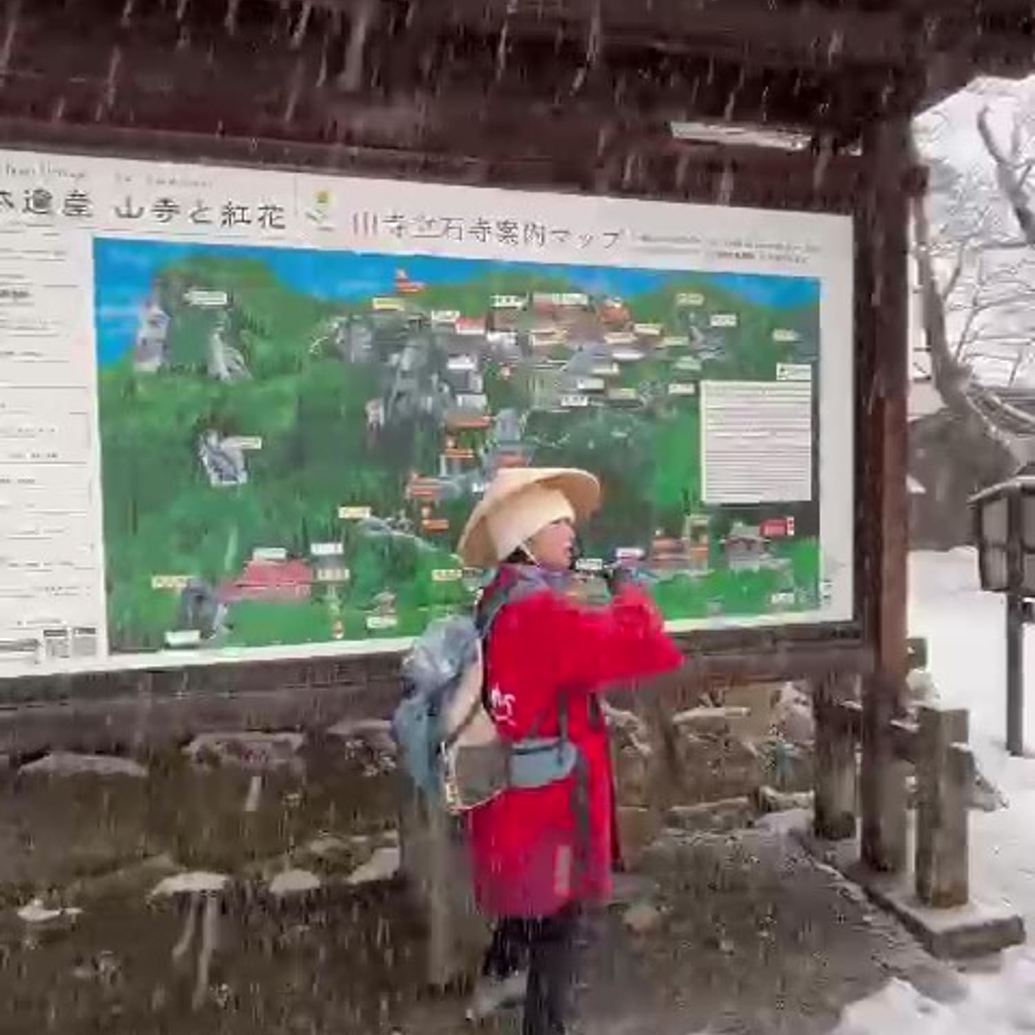 Delve into the Heart of Yamadera | Guided Tour at Yamadera in English ...