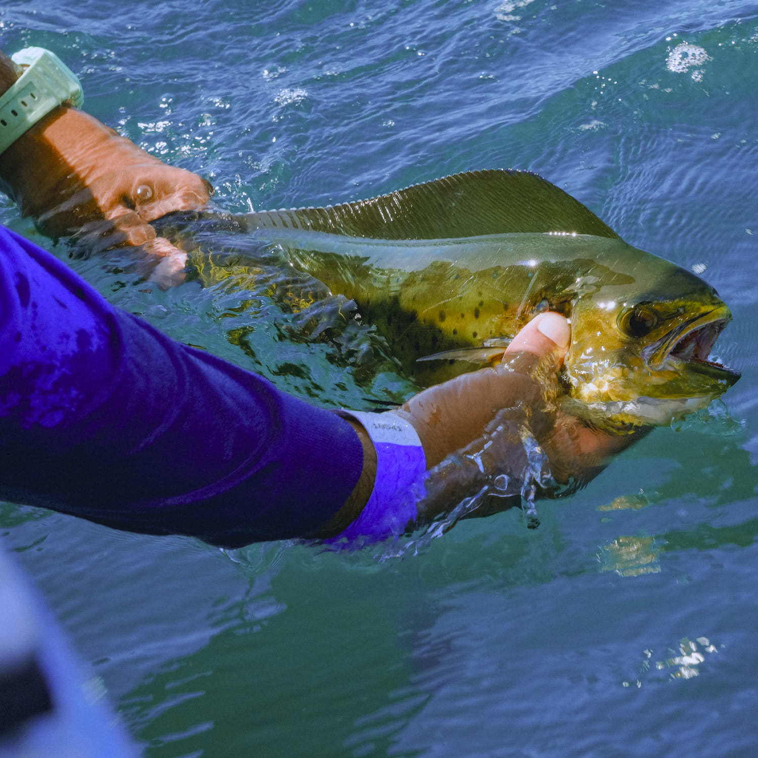 Sport Fishing