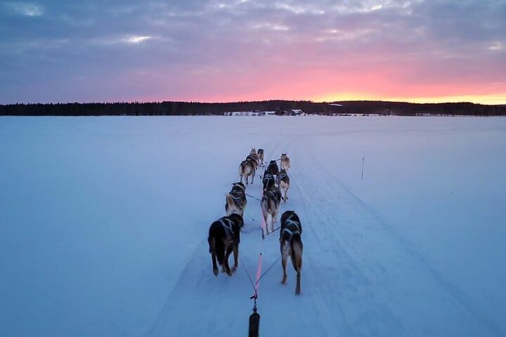 Rovaniemi: Insider 5 Km Husky Self Drive Adventure - Visit Rovaniemi