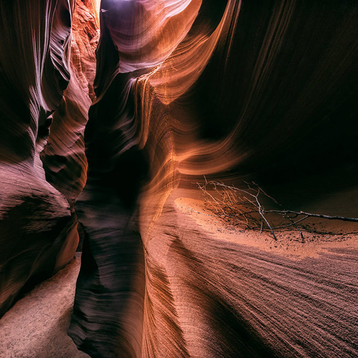 Page: Secret Canyon Tour
