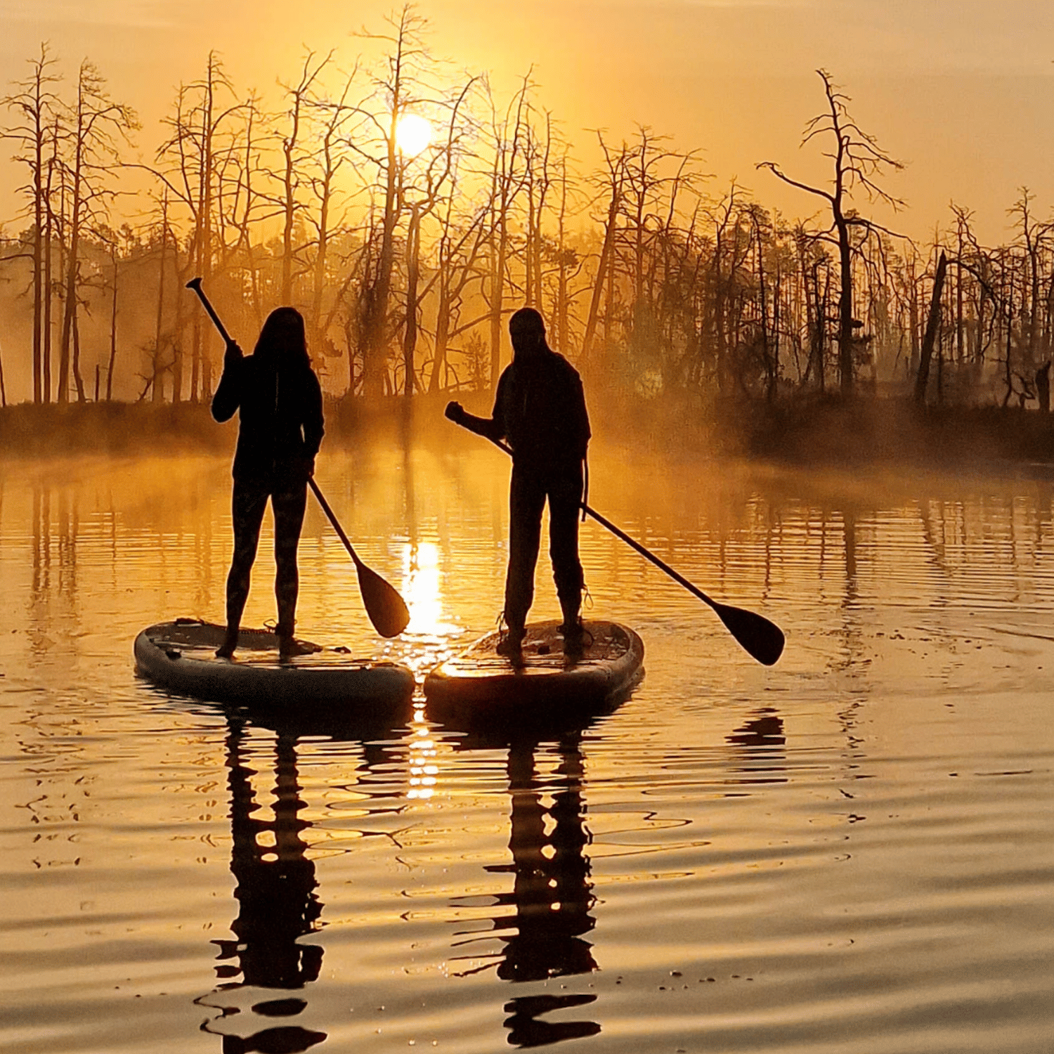 From Riga: Sunrise Kayak or Paddleboard Tour with Pick-Up