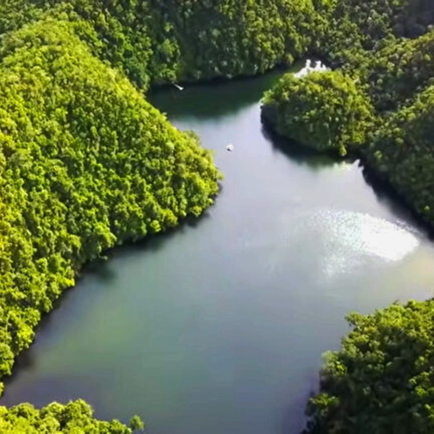 Siargao Escape (Poneas Lake): Private Island-Hopping Adventure