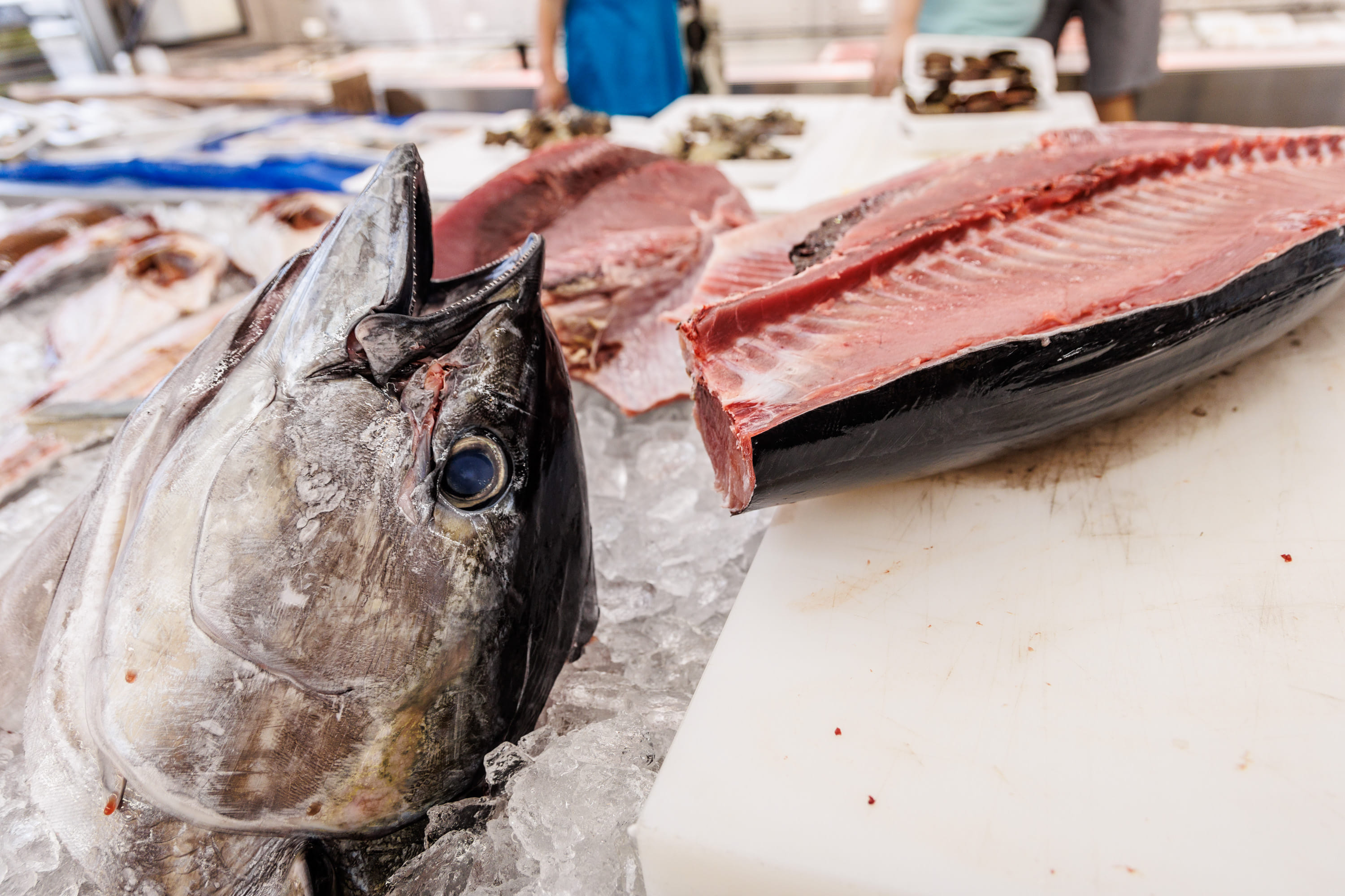 [Luxury Course] Premium Backyard Experience at a Famous Fresh Fish ...