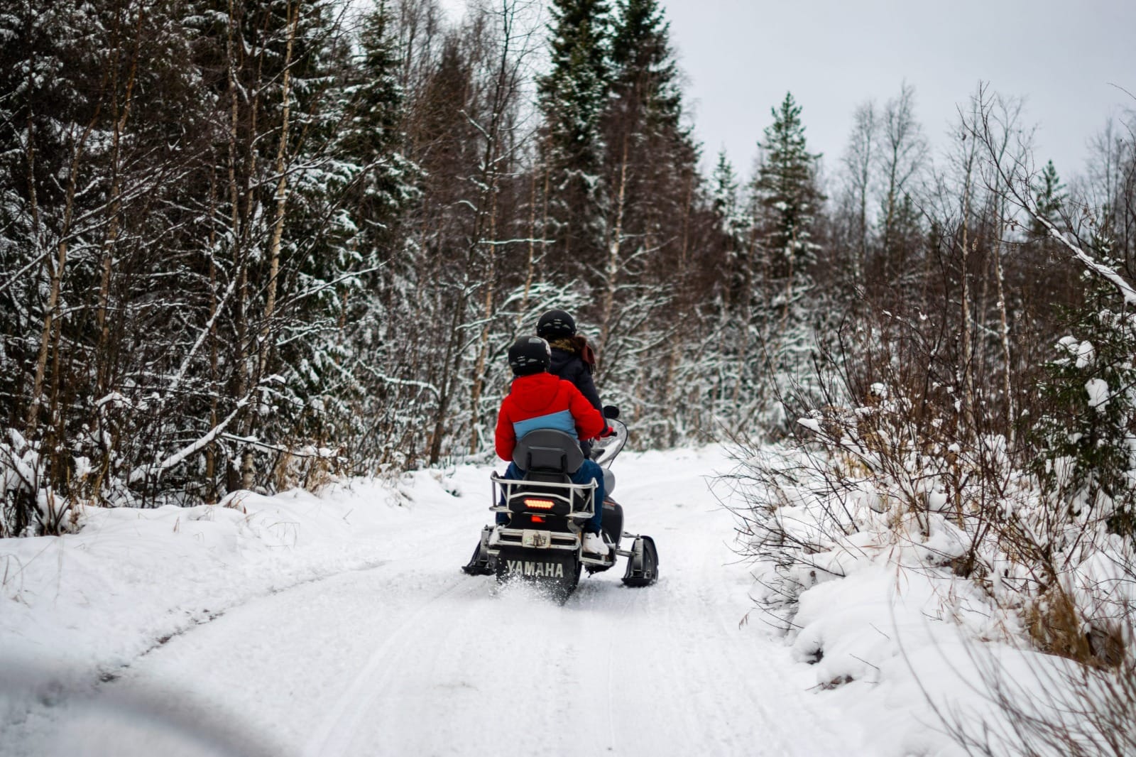 Snowmobile Safari Winter Tour & Barbeque - 1 Hour Driving - Small Group