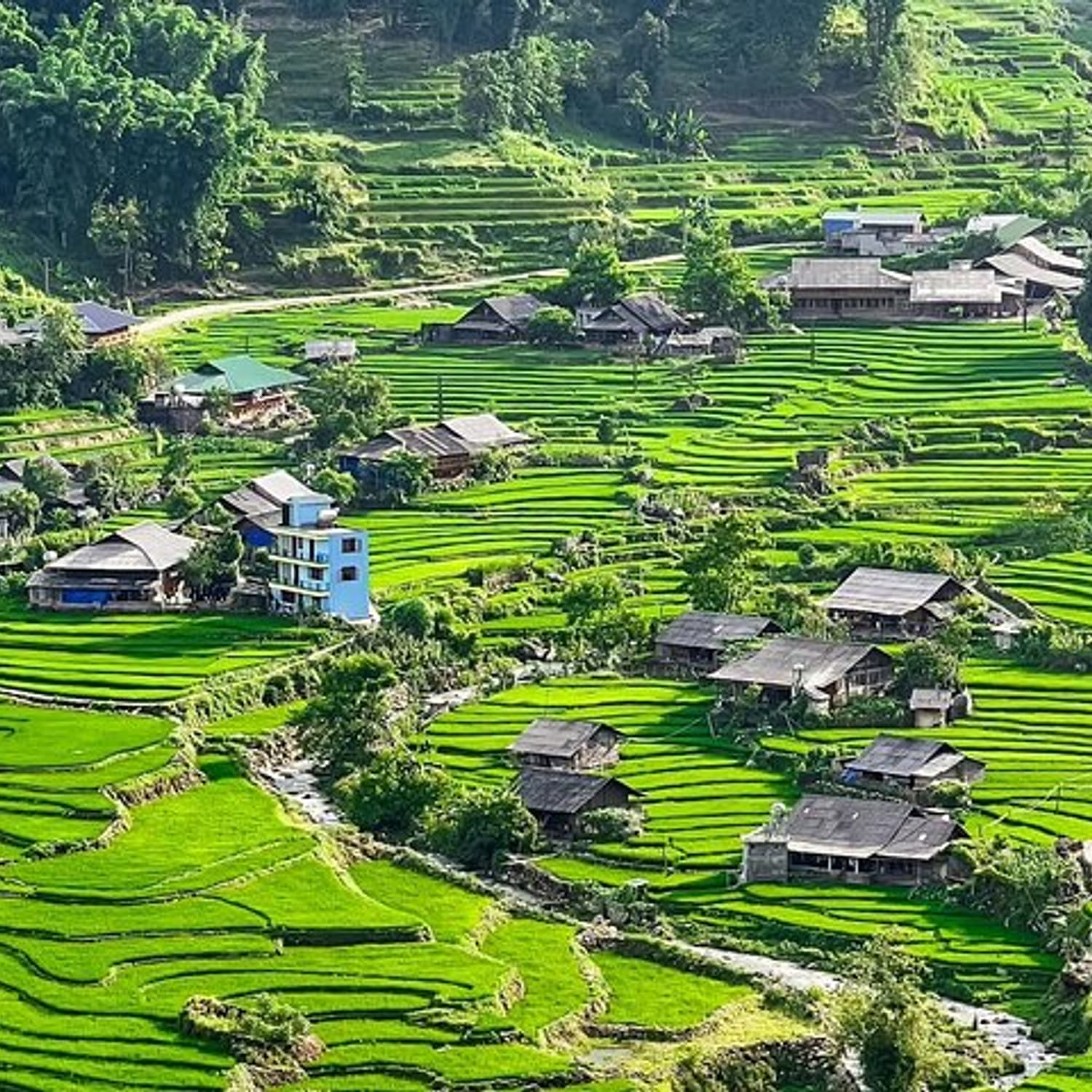 Discover Sapa: Guided Trek Through Rice Terraces & Local Villages