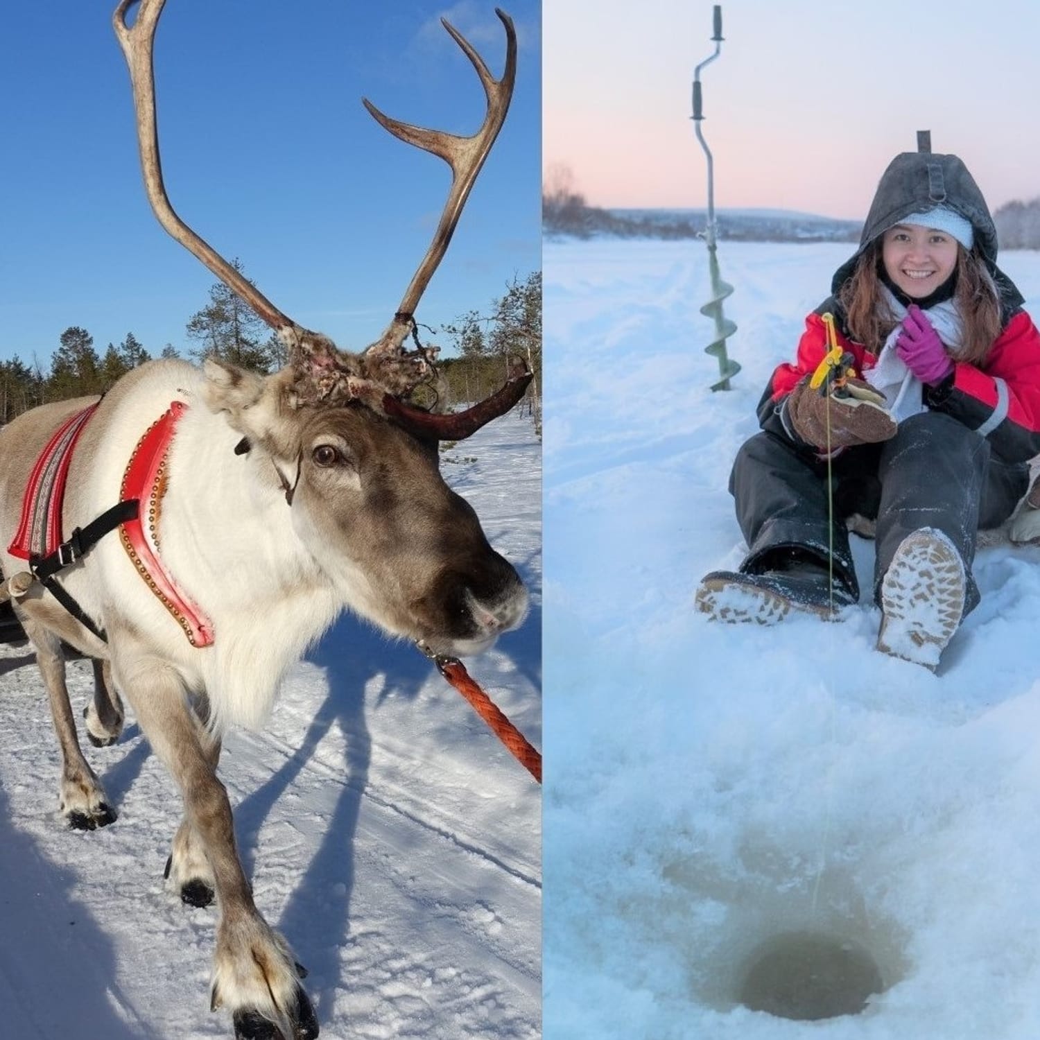 COMBO: reindeer safari & ice fishing experience