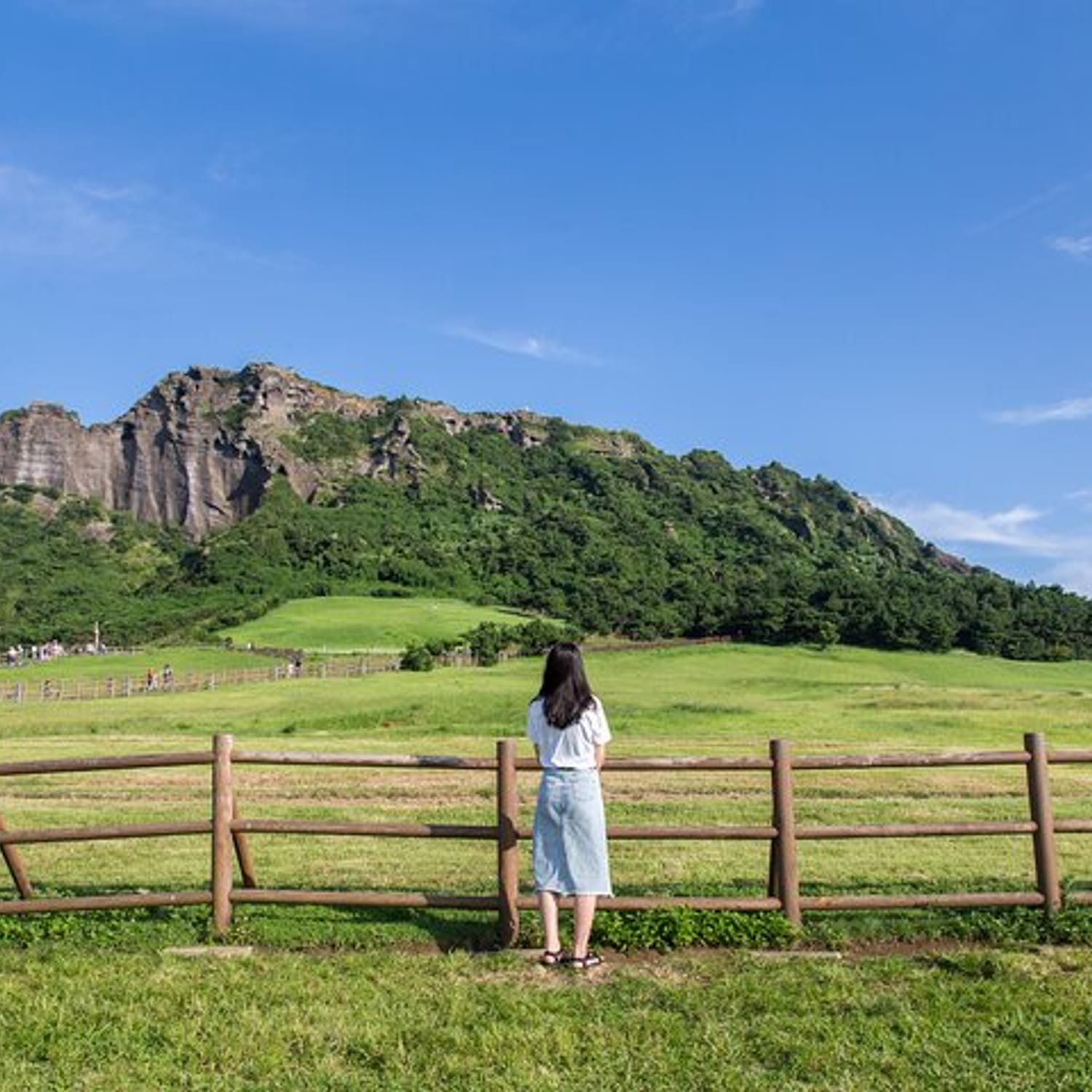 Full-day Customizable Private Jeju Island Tour