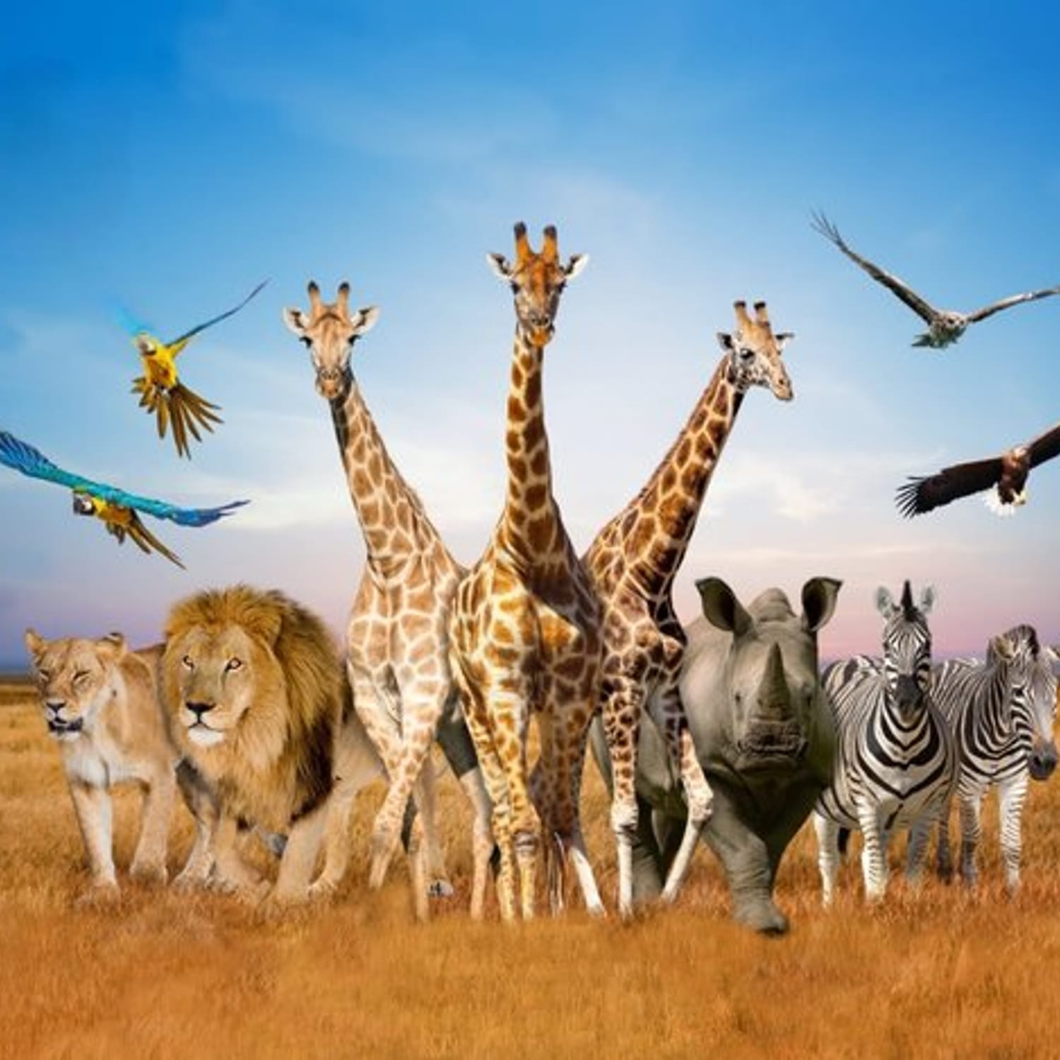 Safari World Bangkok Ticket