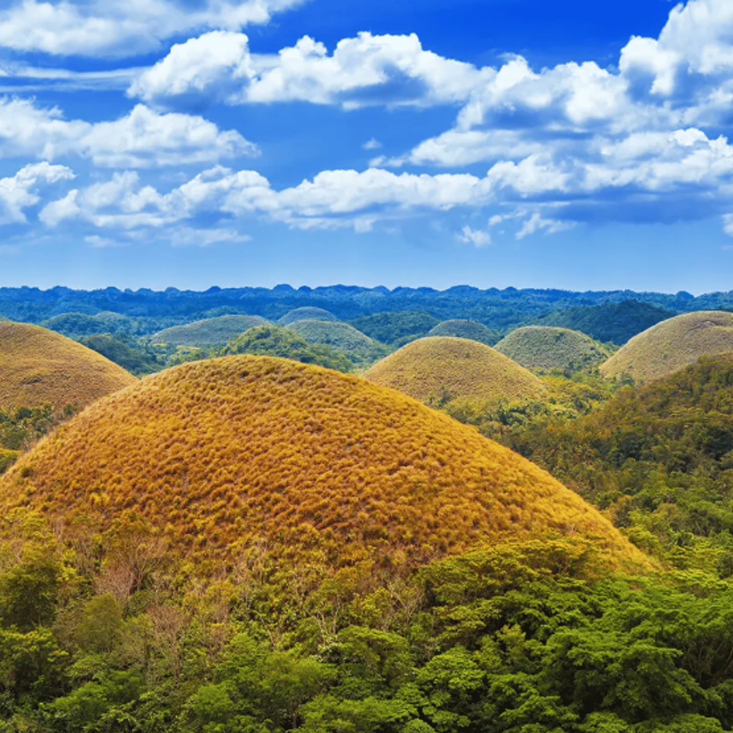 Bohol Countryside Day Tour All In Package by Bohol and Beyond