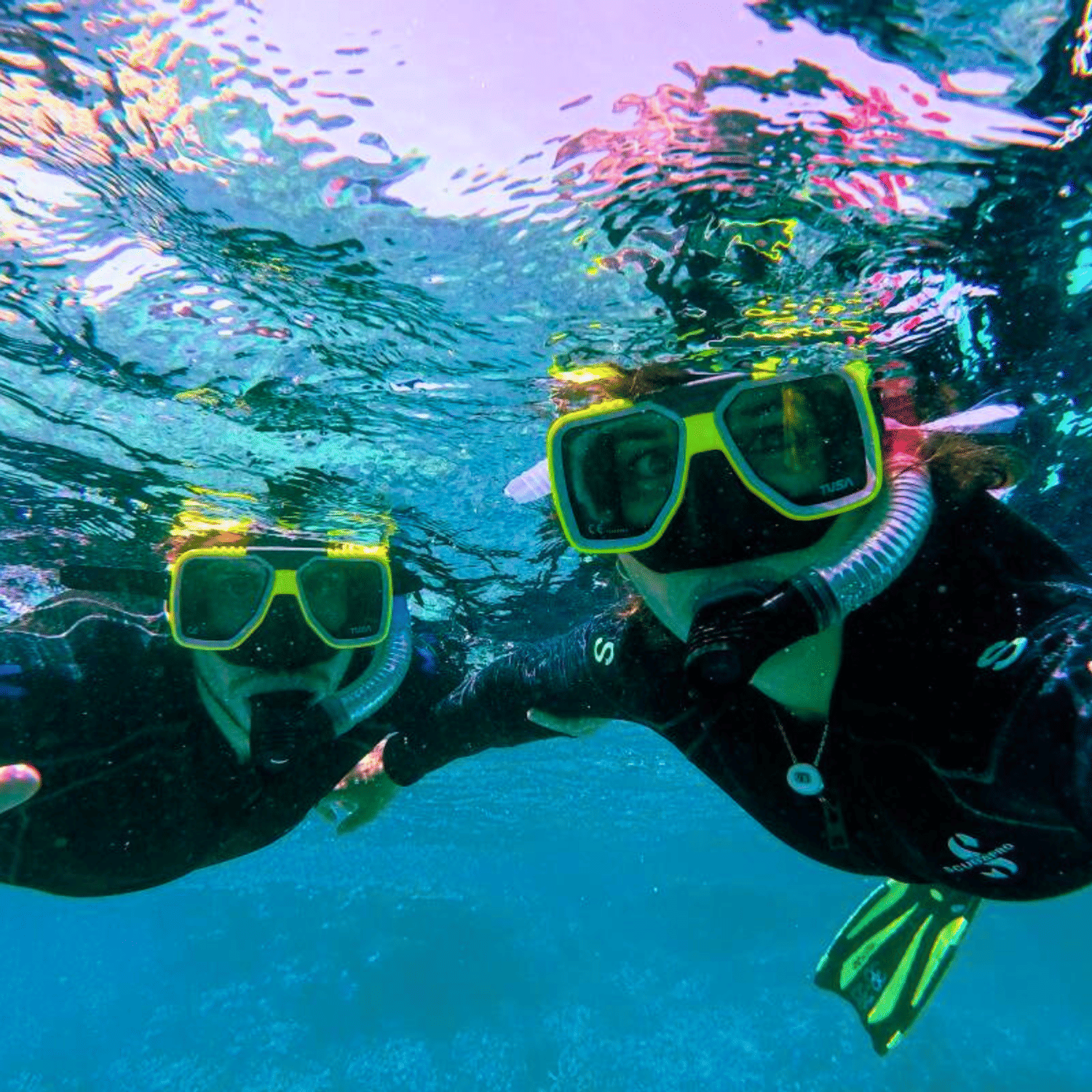 Guided Snorkeling the African Sea Forest in Cape Town