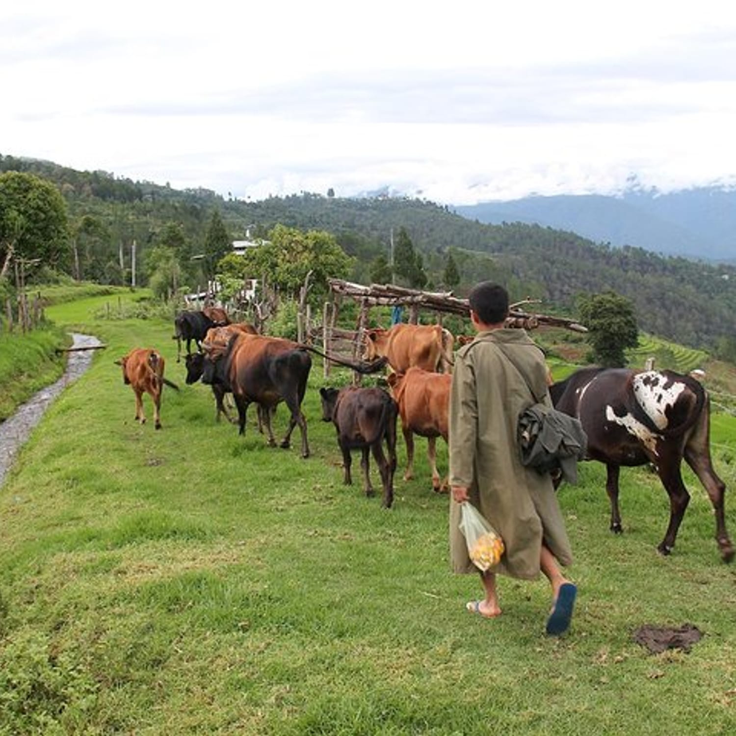 7 Days The Magical Kingdom Of Bhutan
