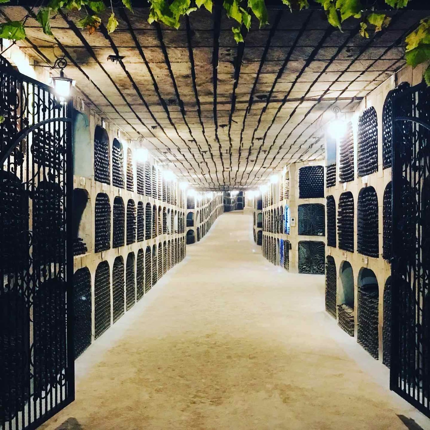 Chisinau City Tour and Milestii Mici Winery with Wine Tasting