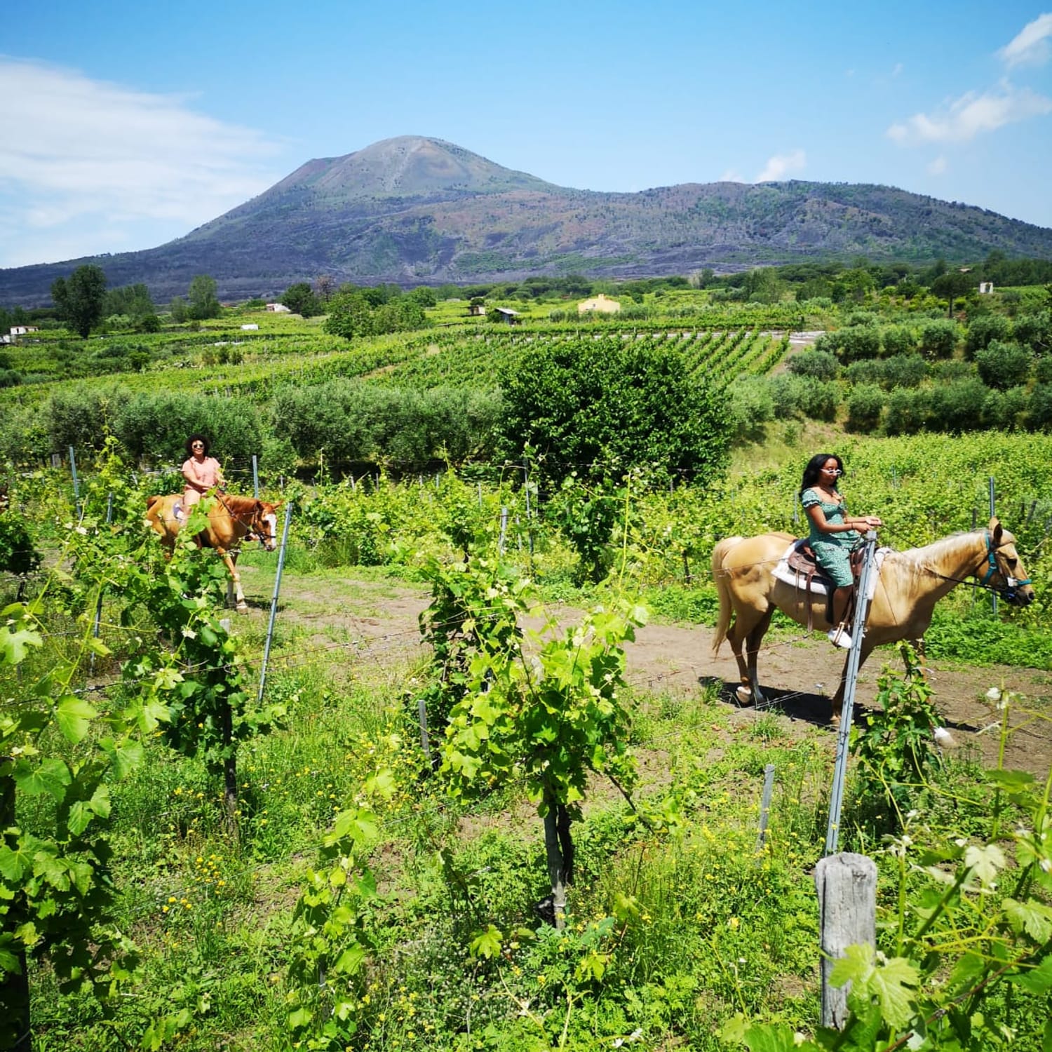 Vesuvius Horseback Experience with Transfer Included