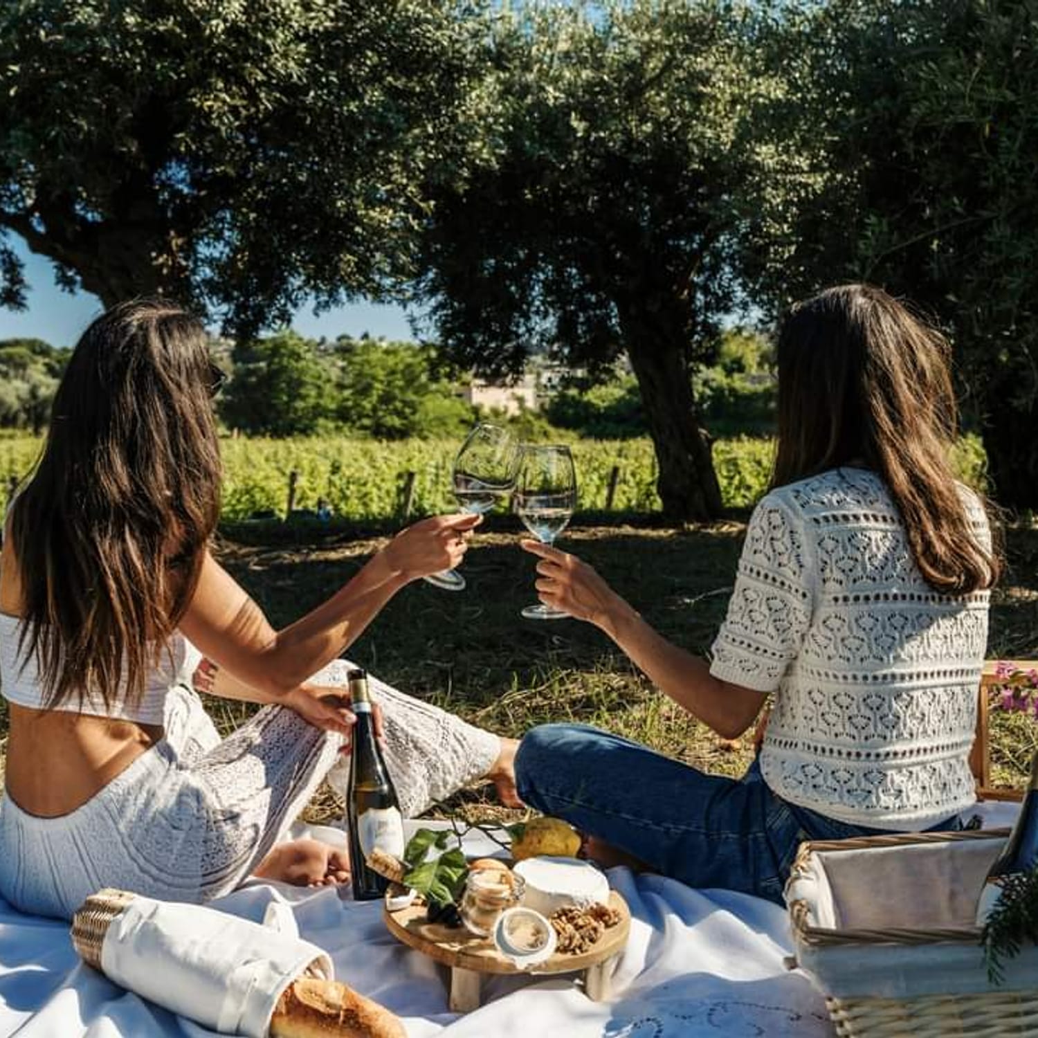 Ischia: Wine Tasting Experience with Vineyard's Tour & Transfer Included