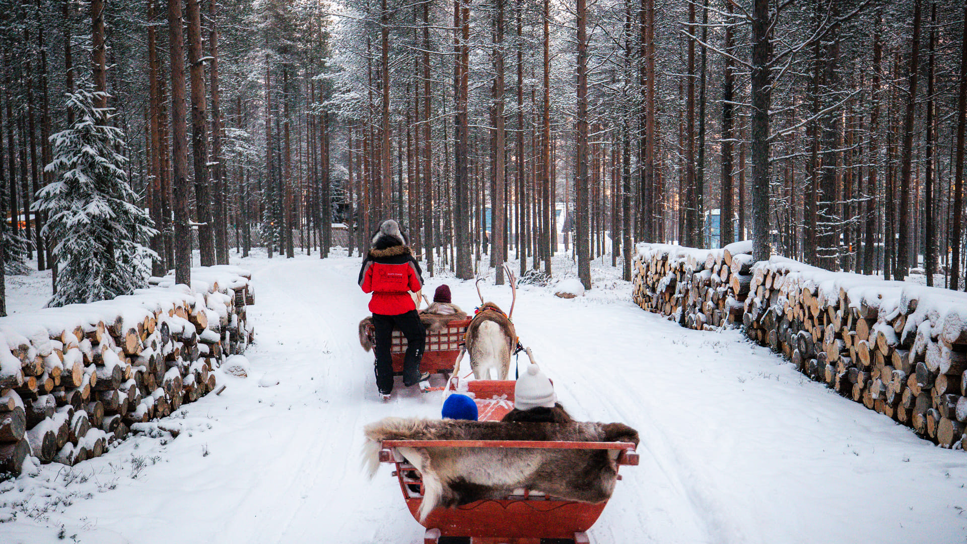 5–7 minute reindeer sleigh ride – Santa Claus Reindeer