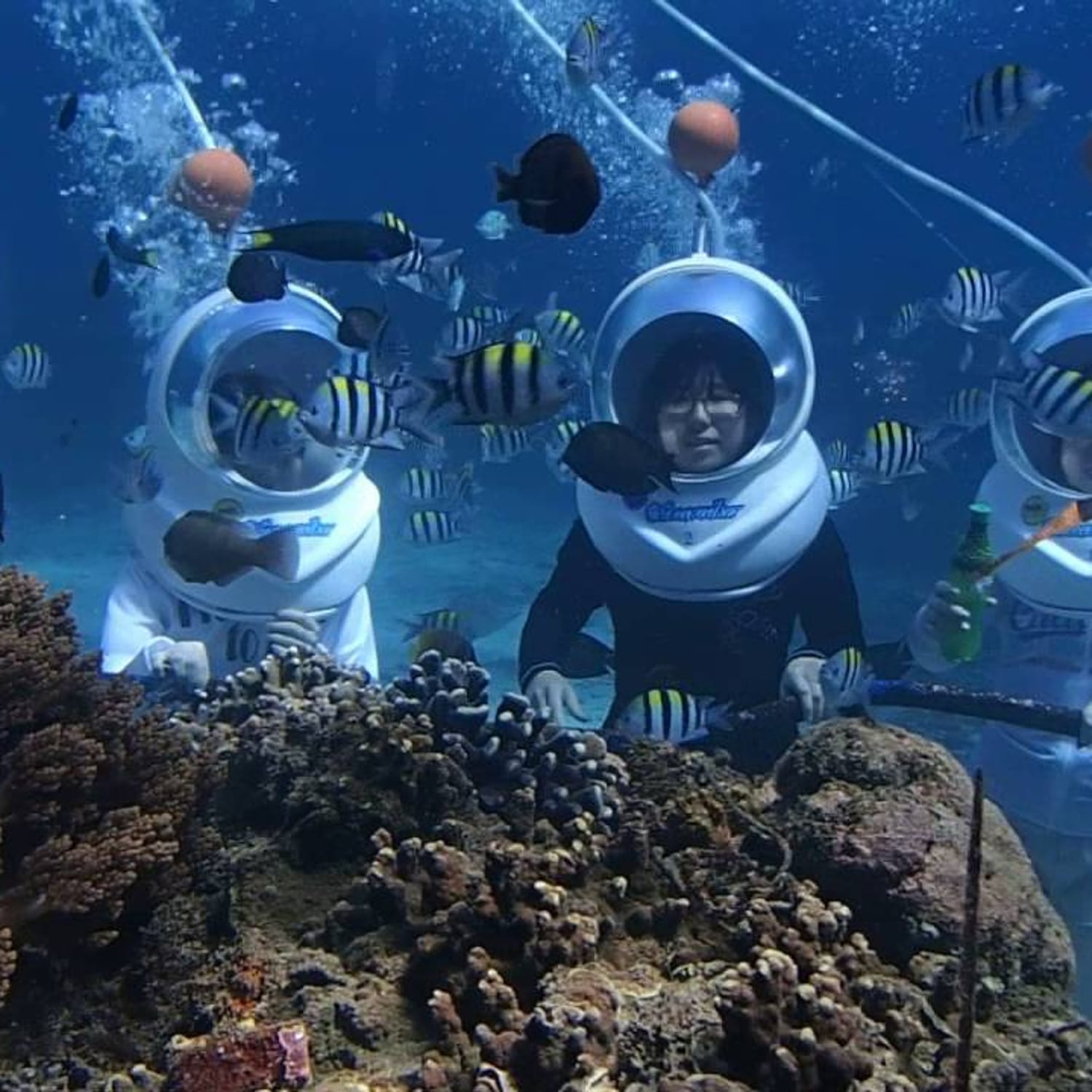 Master Bali Tour