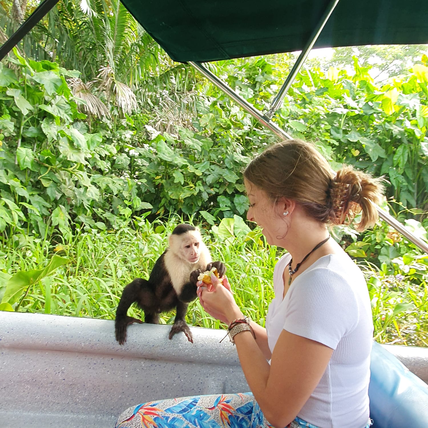 THE MONKEY EXPERIENCE