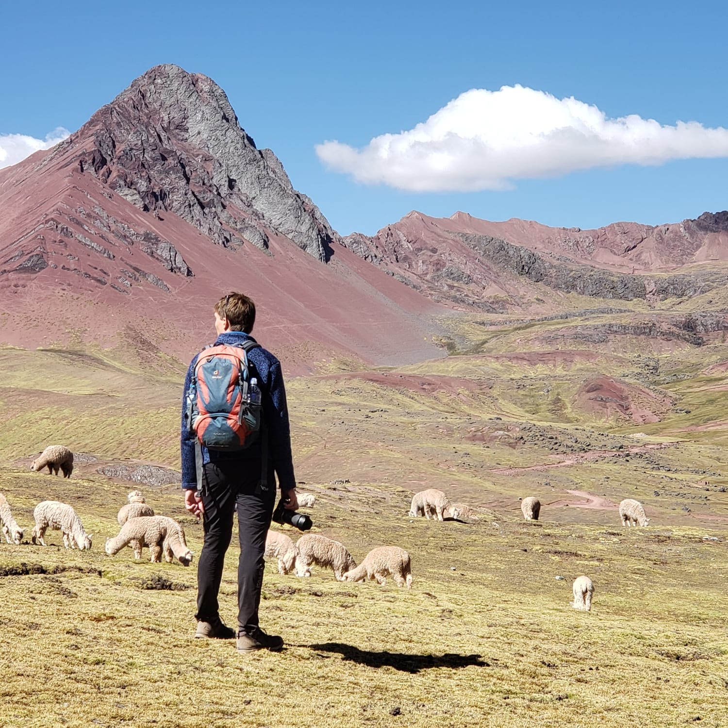 Palcoyo Mountain Peru Guided Tours - 1 Day