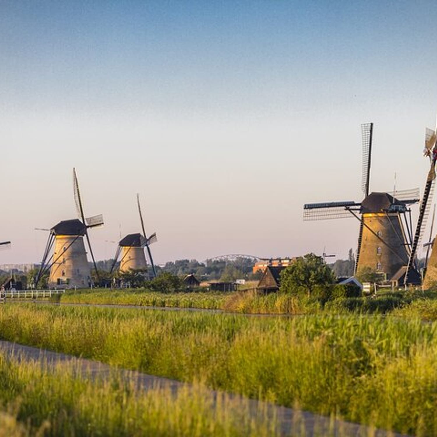 Famous Holland Tour: visit The Hague, Delft, Rotterdam and Kinderdijk ...