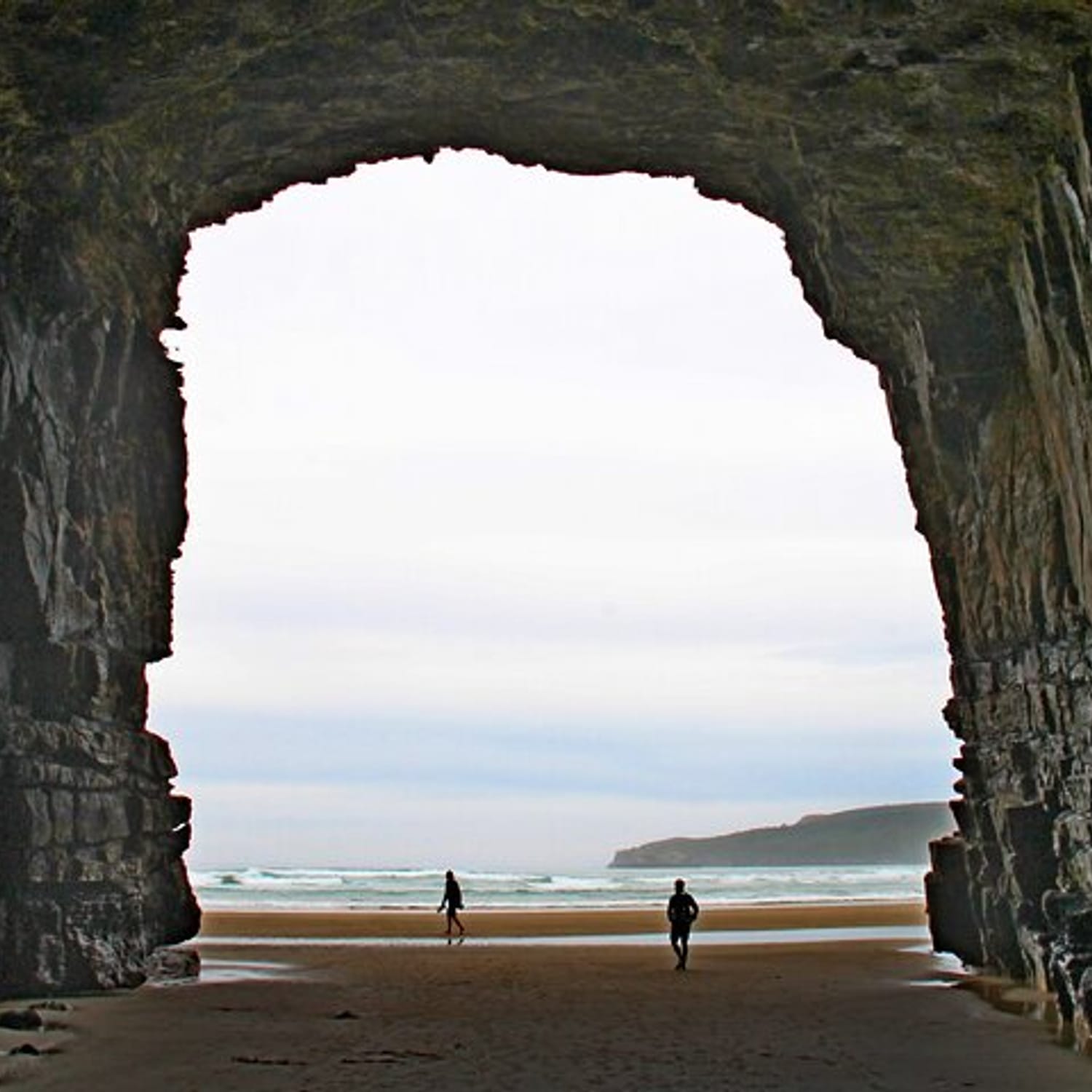 Nugget Point and Cathedral Caves Private Tour from Dunedin