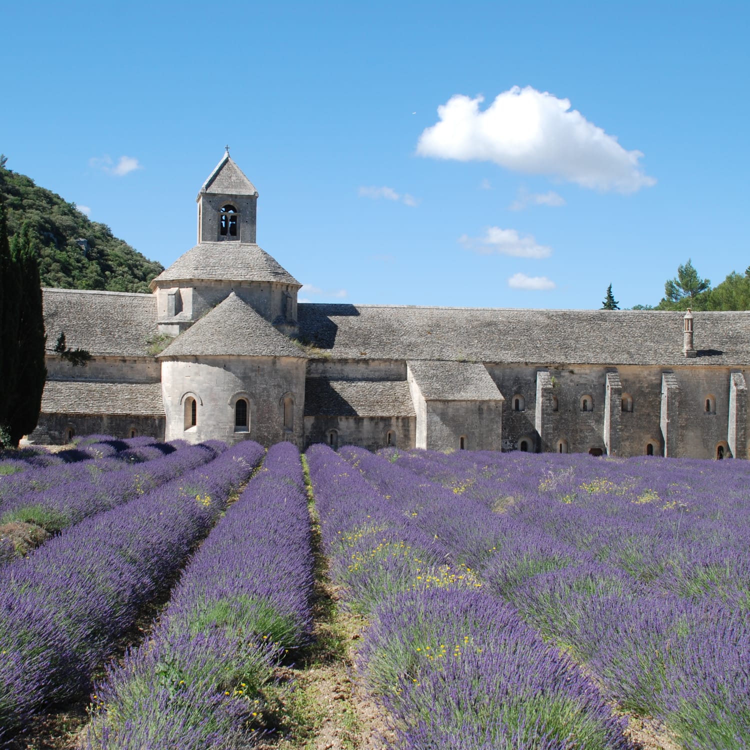 Itinerary: Colours of Provence