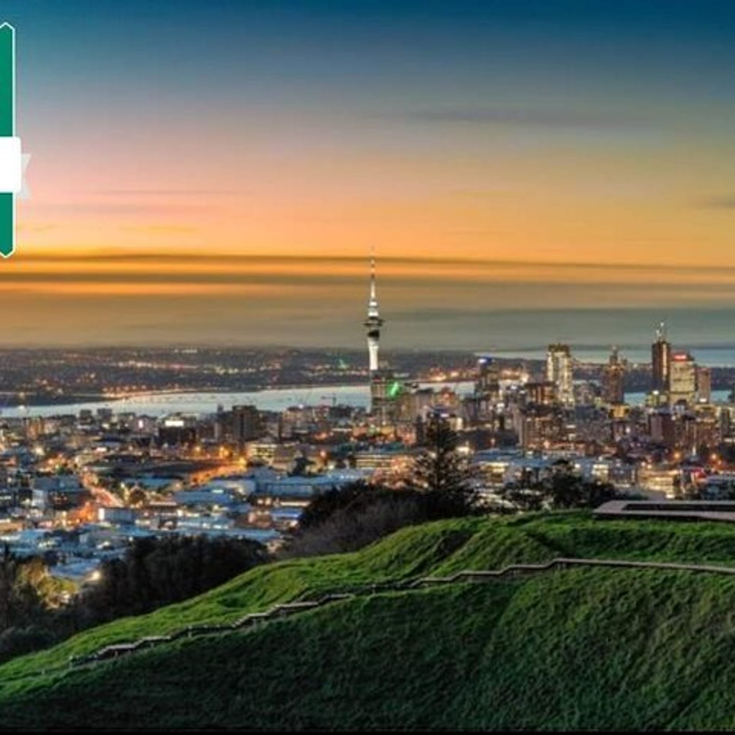 2025 Award Winning: Auckland City Highlights Half Day Tour