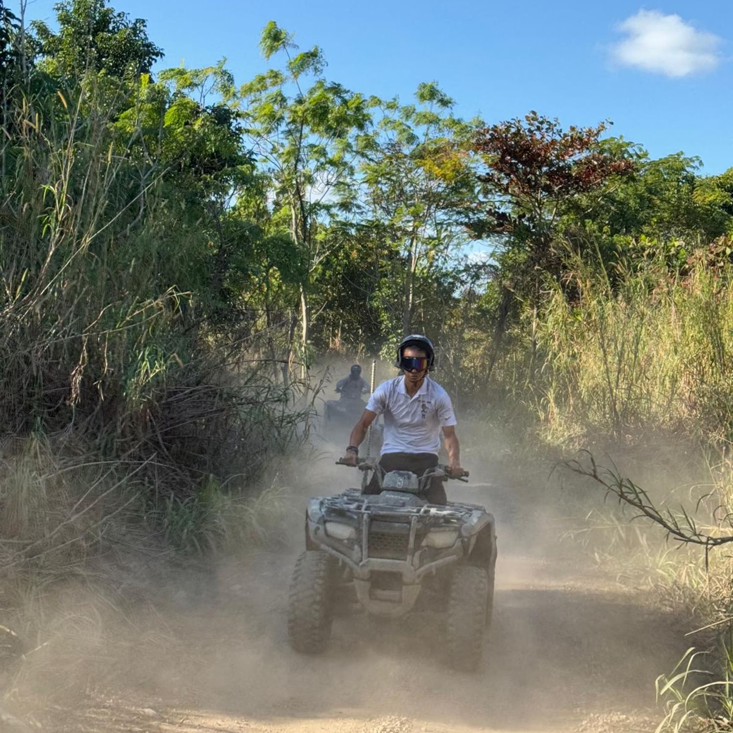 Miami's ATV Safari : Limited Edition ATV Ride in Miami's Untamed Jungle ...