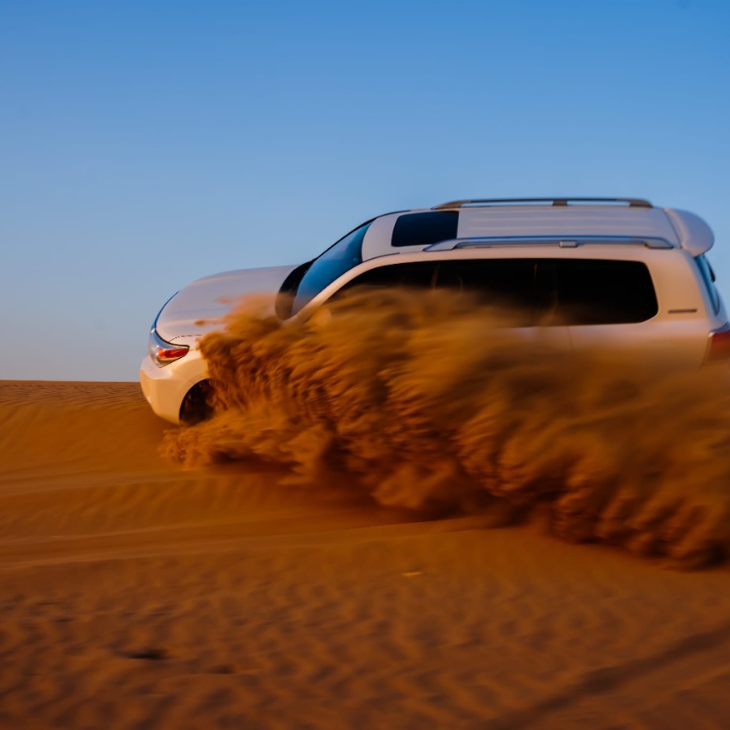 Sunset safari, camel ride, barbeque dinner