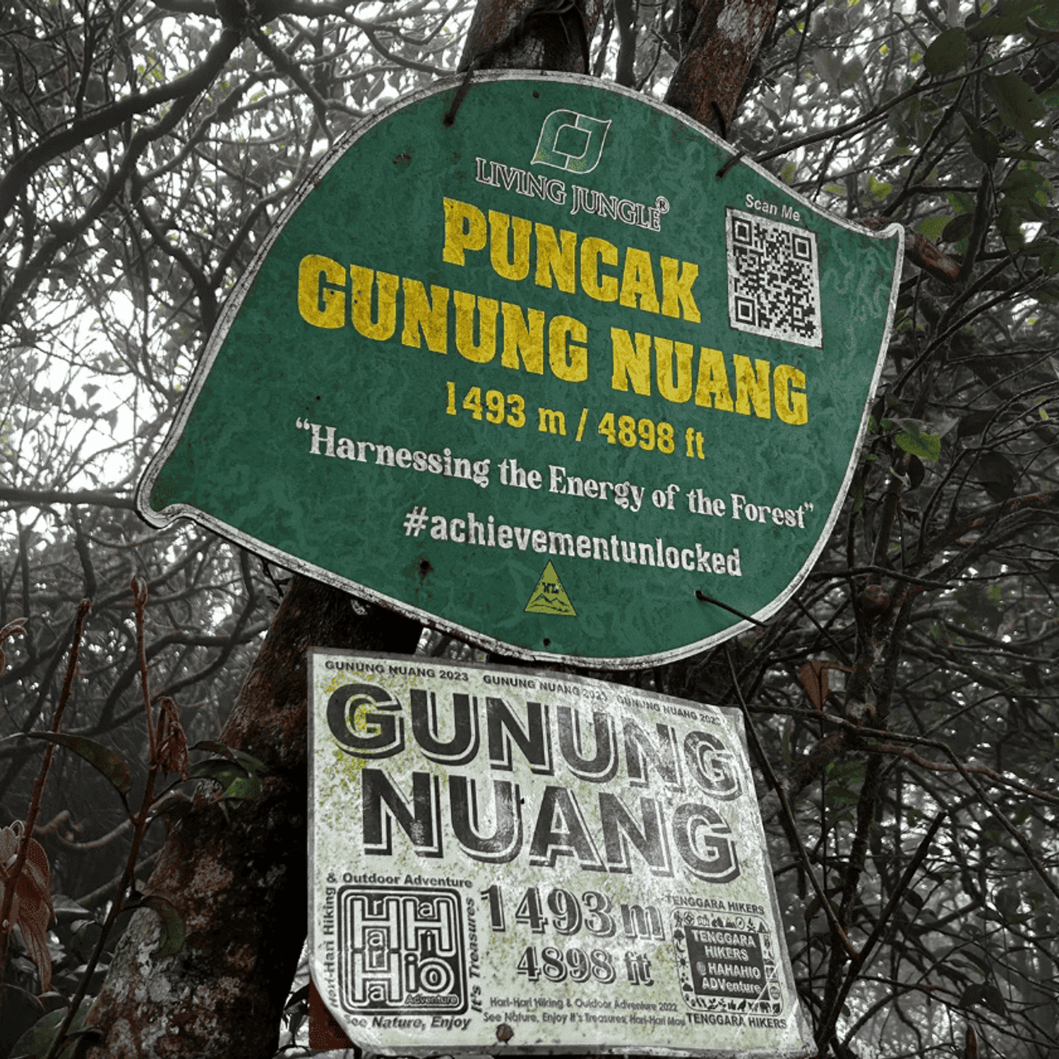 Gunung Nuang via Pangsun