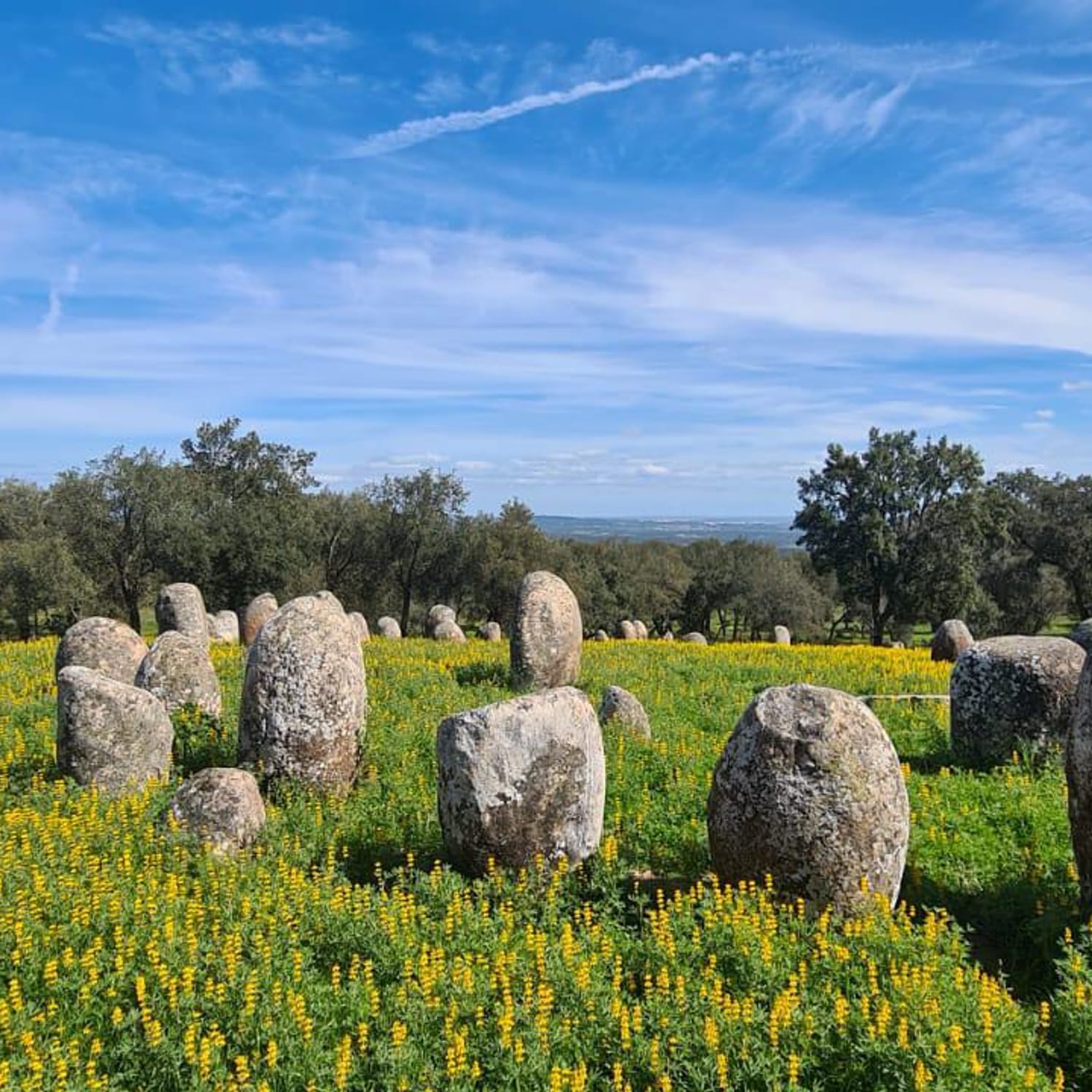 Evora: Cromlech of Almendres and Great Dolmen of Zambujeiro