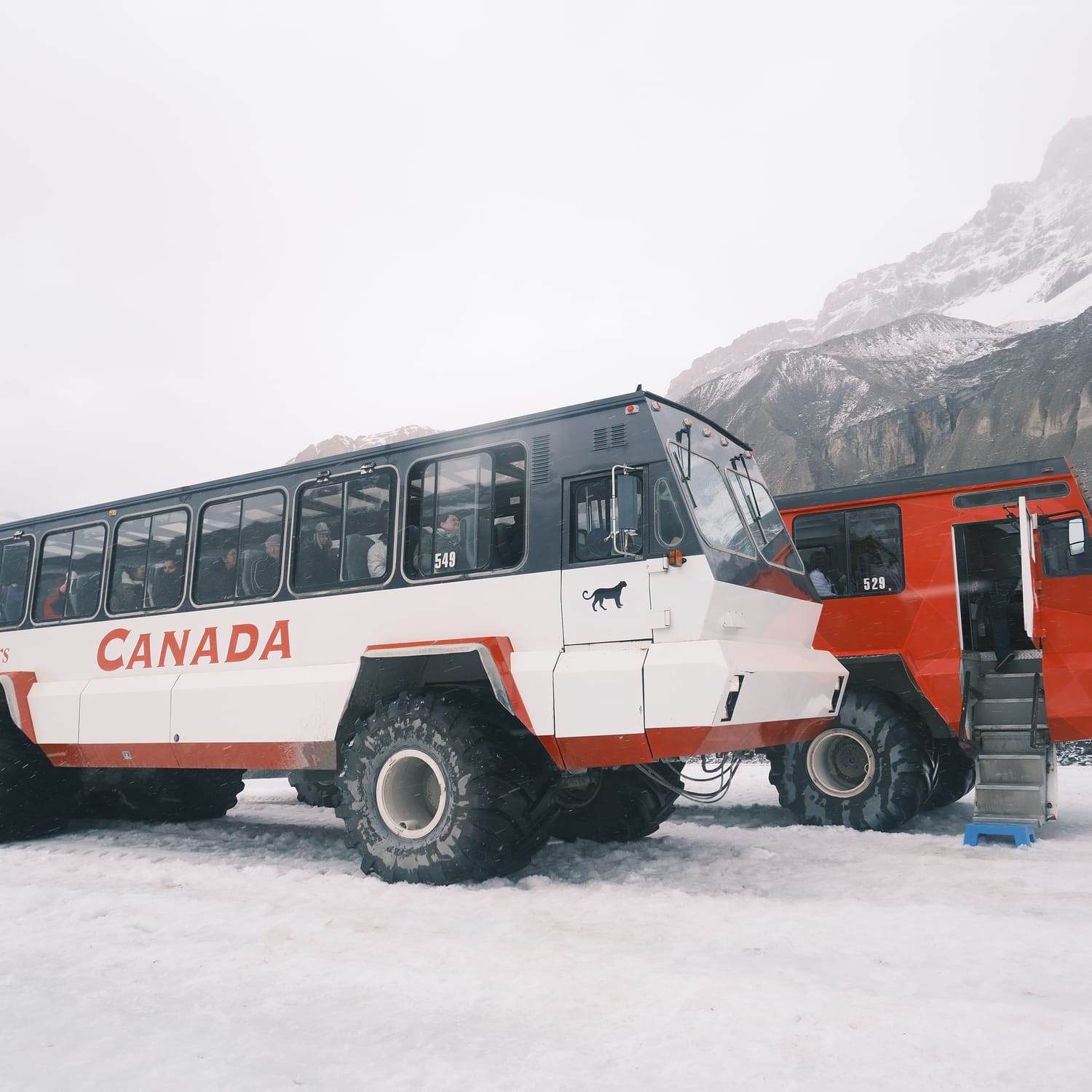Columbia Icefield: Ice Explorer Adventure (Ticket Included) & Peyto ...