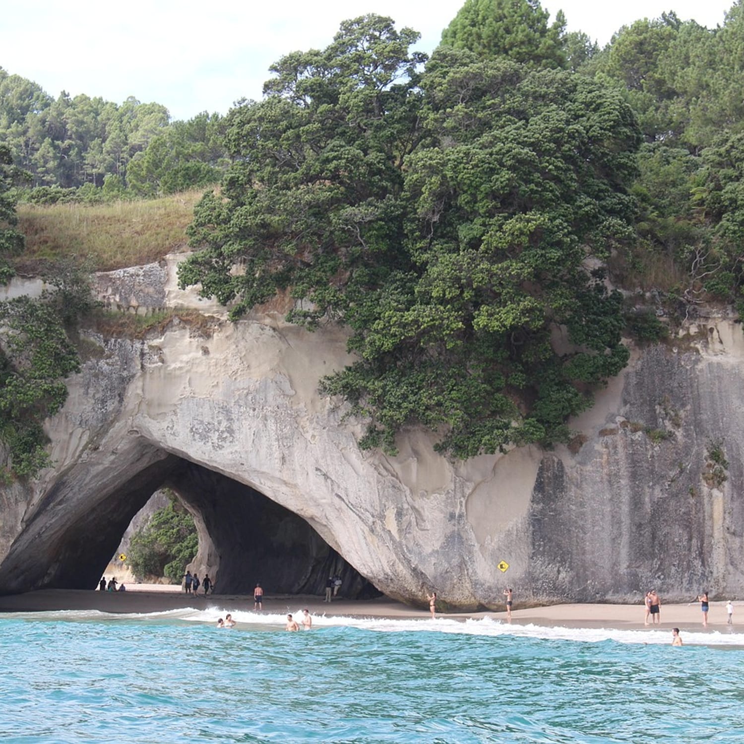 The most comprehensive all-inclusive Coromandel Peninsula tour over two ...