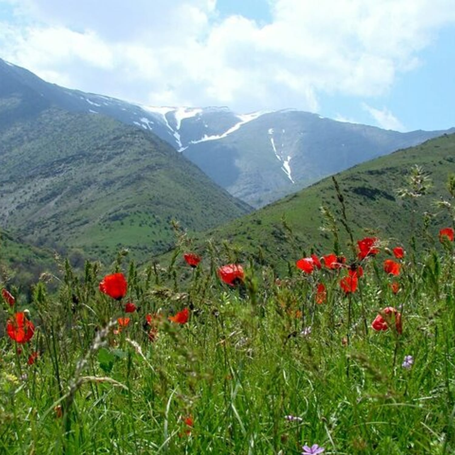 Rural Escape to Nurata Mountain: 3-Day Tour from Samarkand or Bukhara