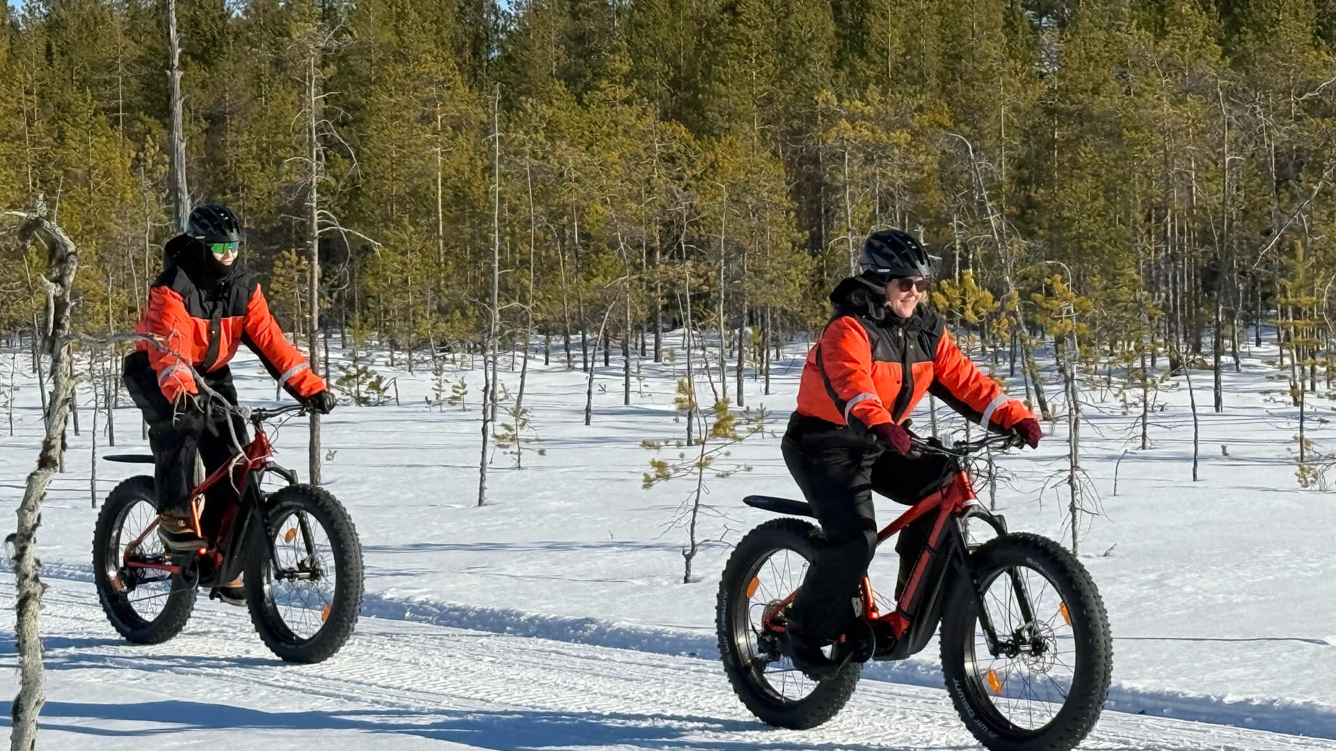 Electric Fat Bike Adventure at a Reindeer Farm in Rovaniemi - Porovaara